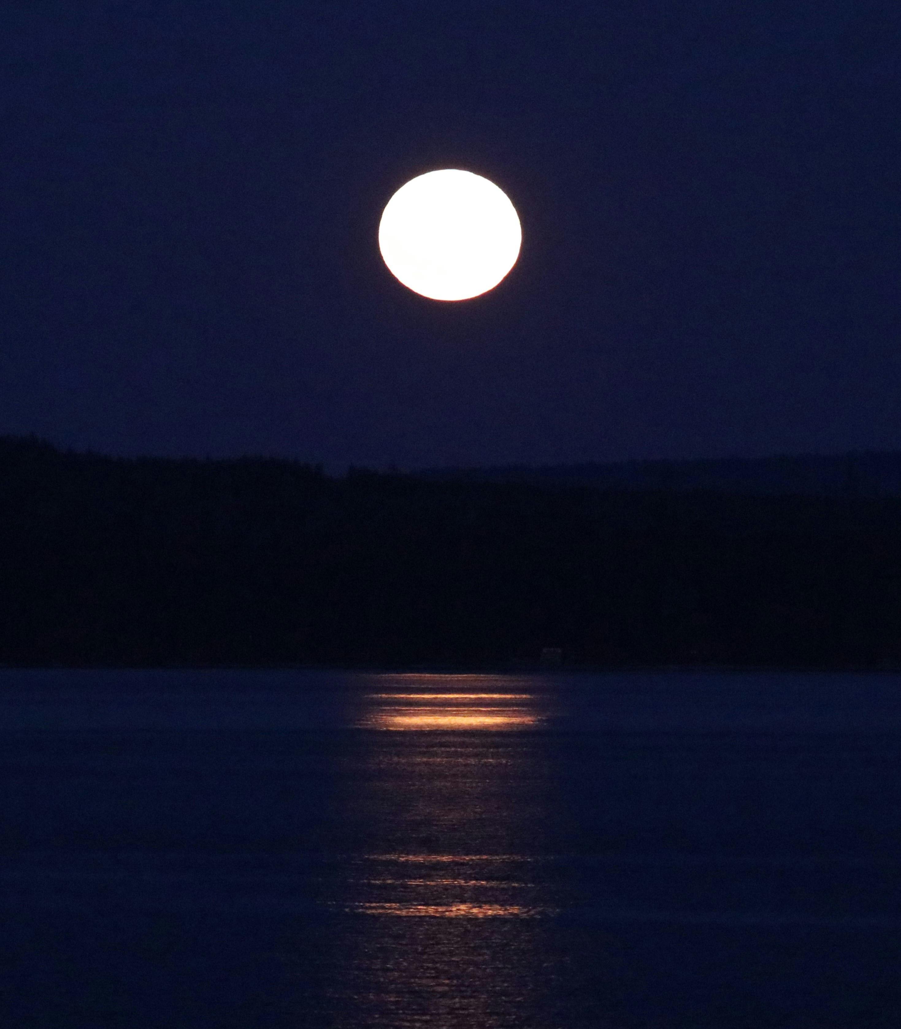 The Ocean under the Moonlight · Free Stock Photo