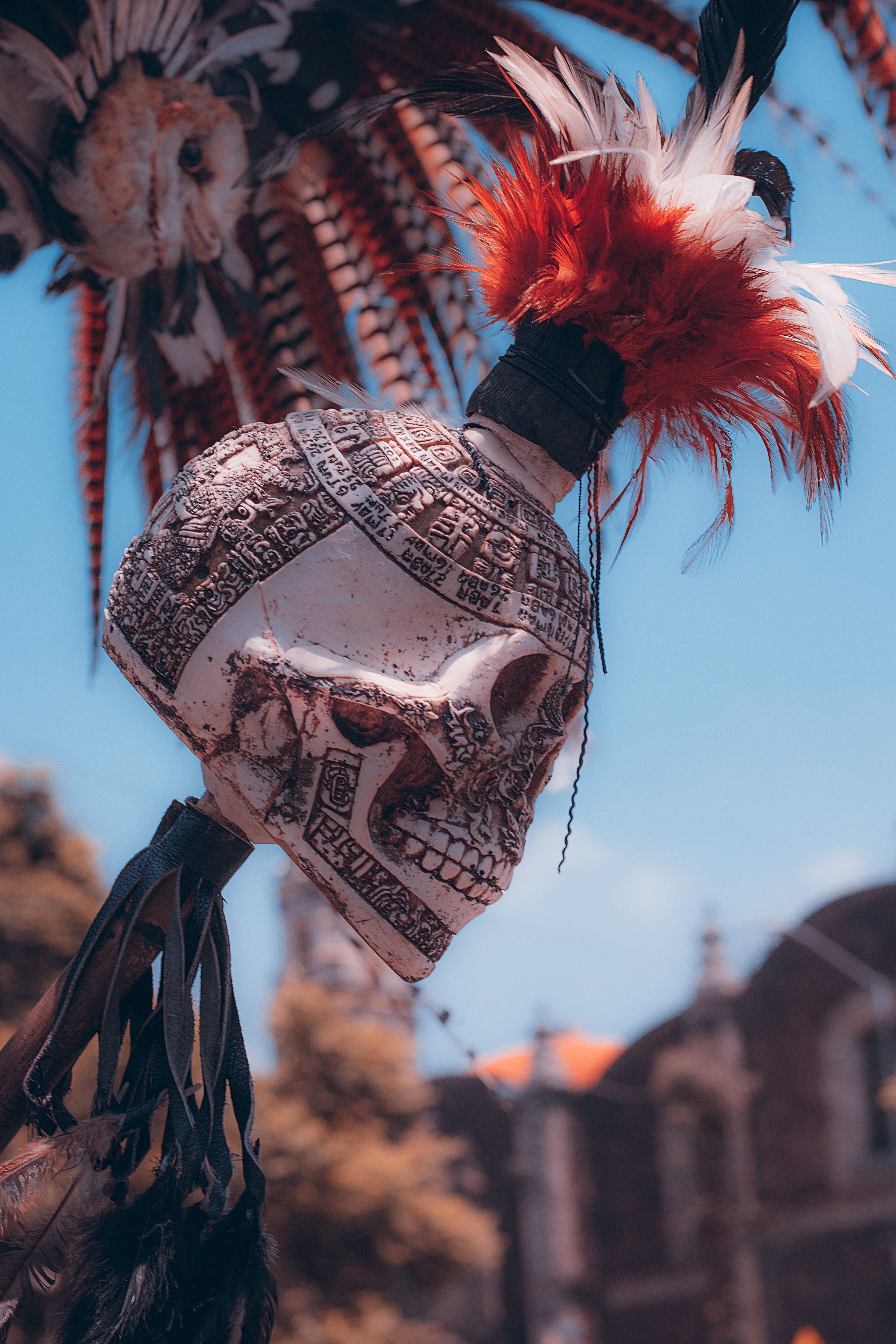Scepter with Skull · Free Stock Photo