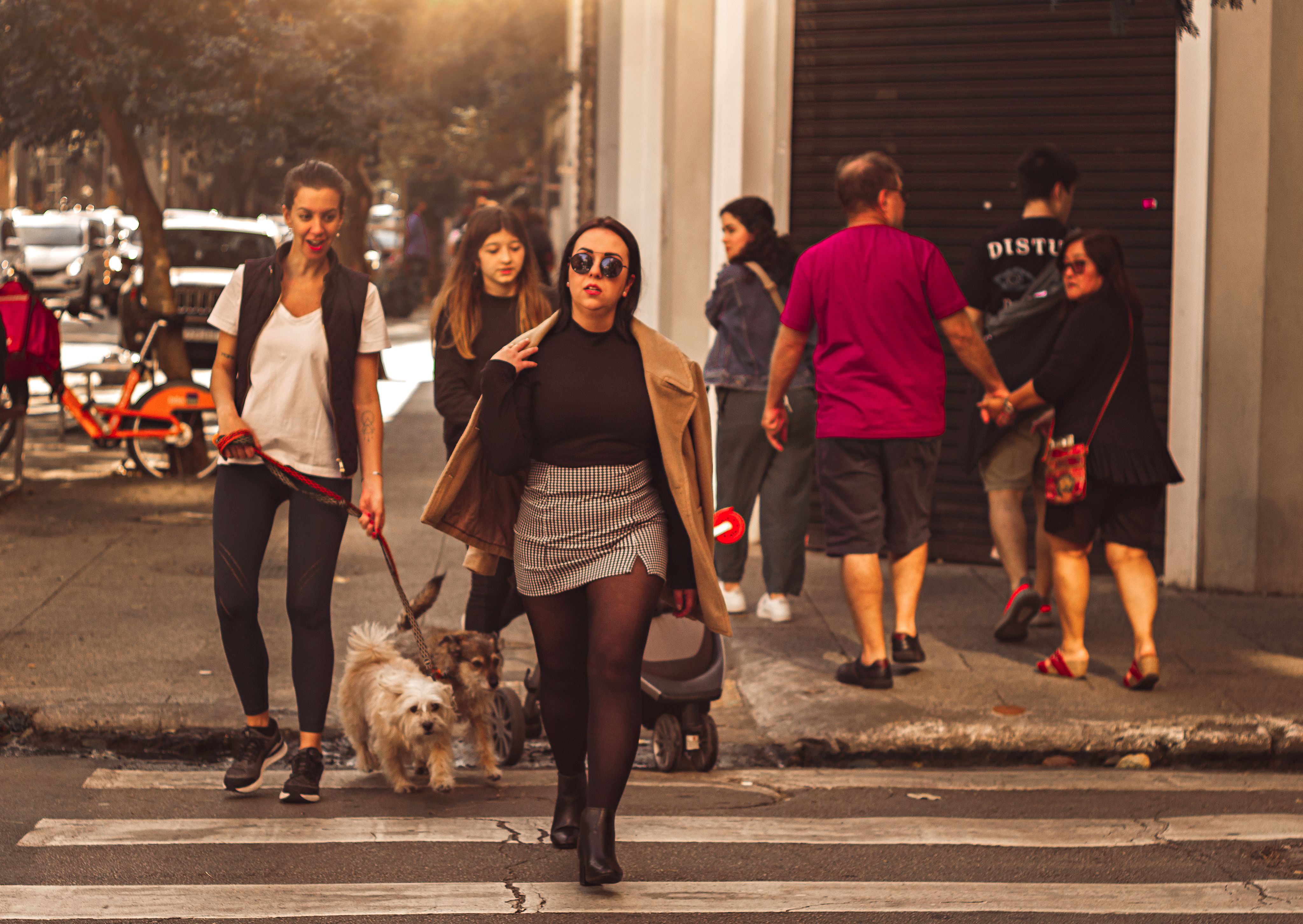 People Walking on Pedestrian Lane · Free Stock Photo