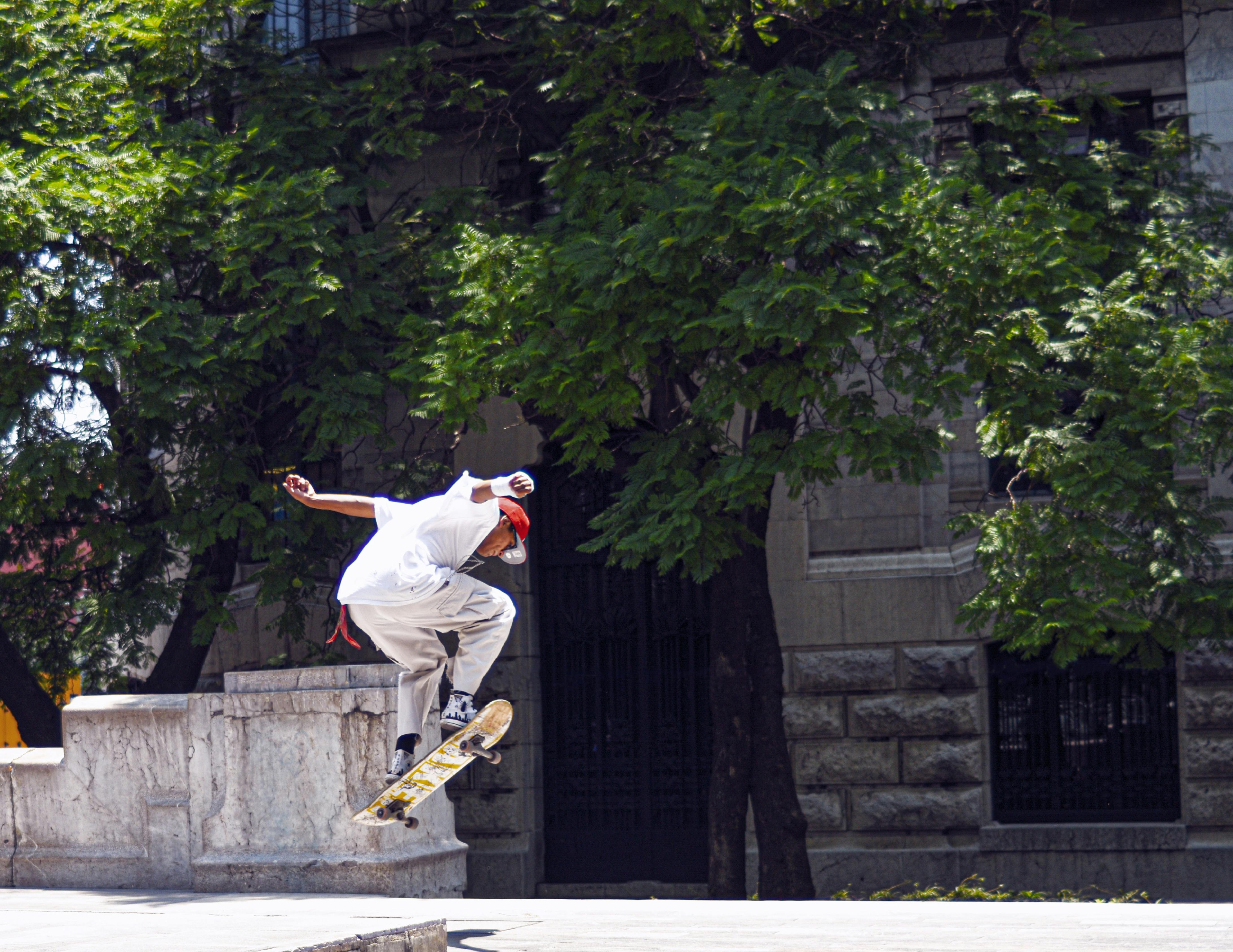 Foto profissional gratuita de ação, adestrado, adolescência ...