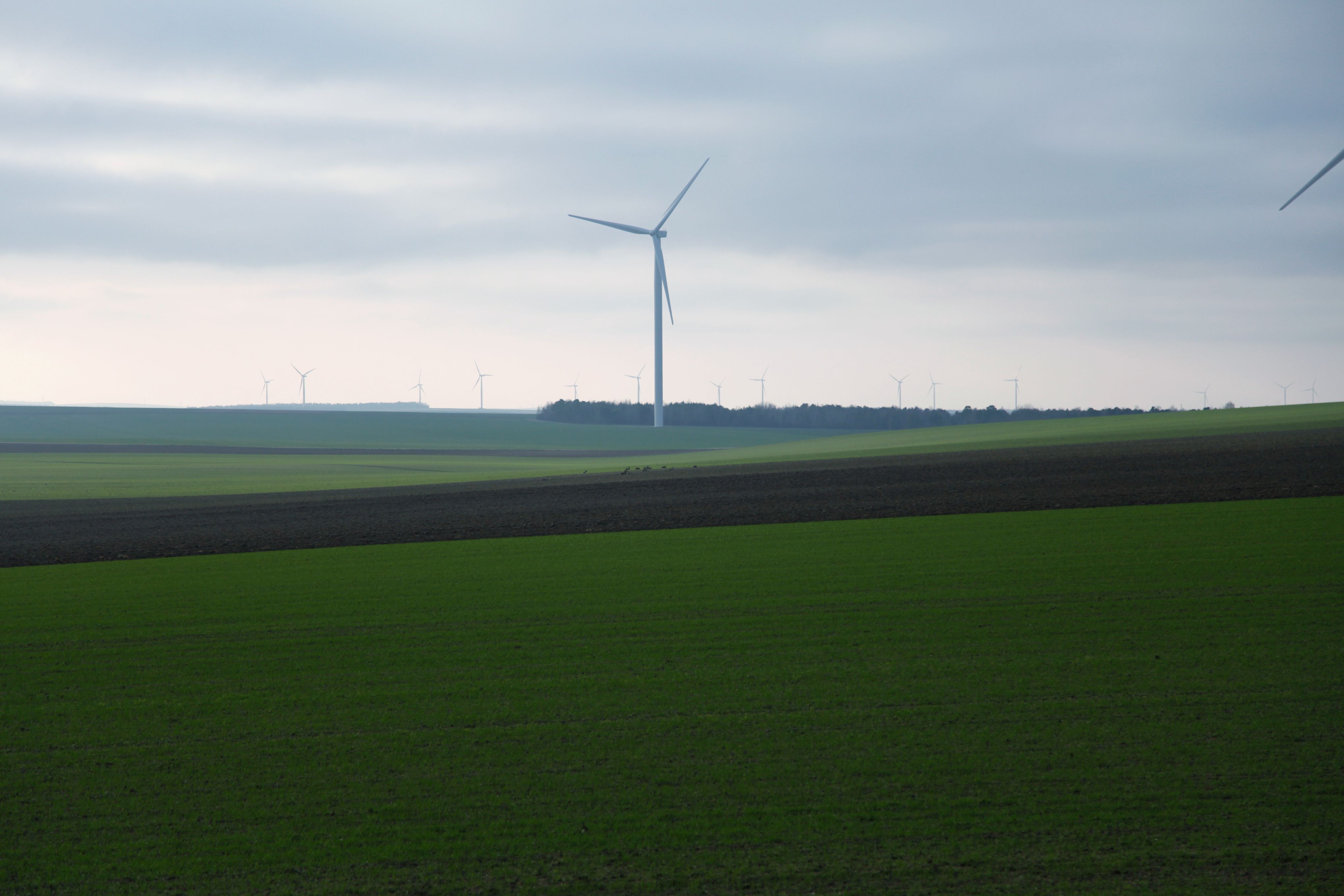 Free stock photo of green field, wind turbine - Stock Image - Everypixel