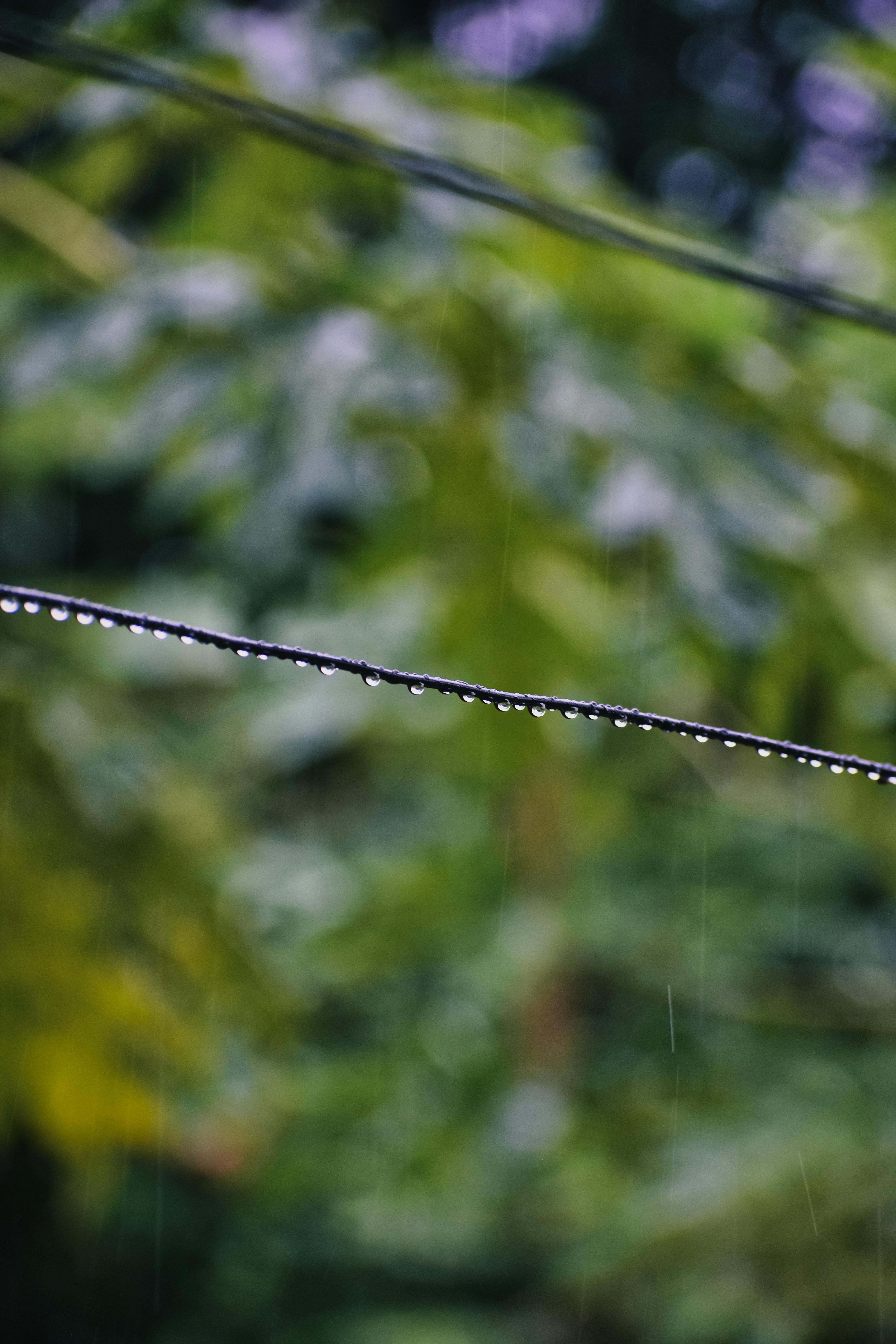 Rain Drops on Wire · Free Stock Photo