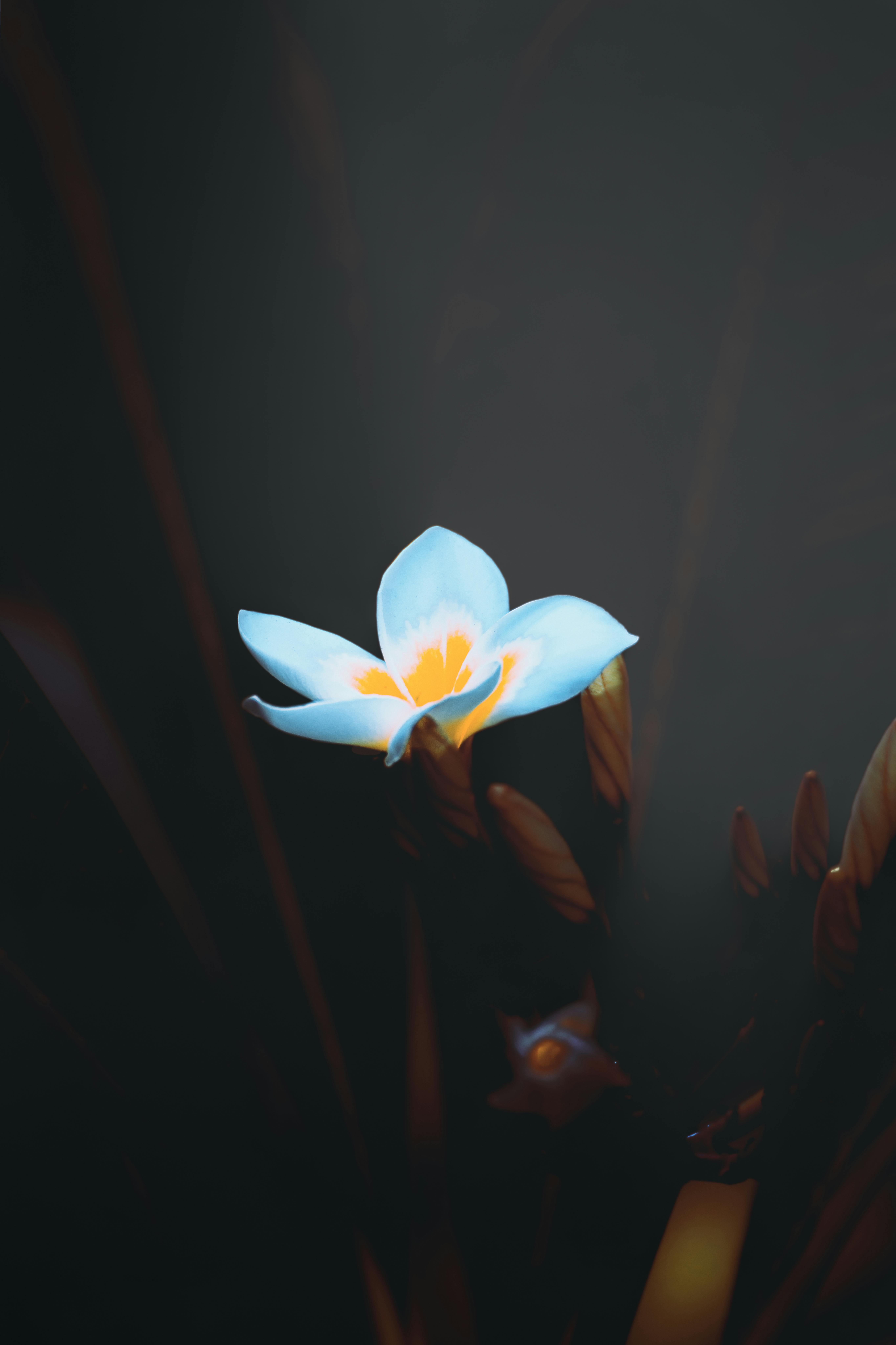 Avid Photographer Photos, Download The BEST Free Avid Photographer ...