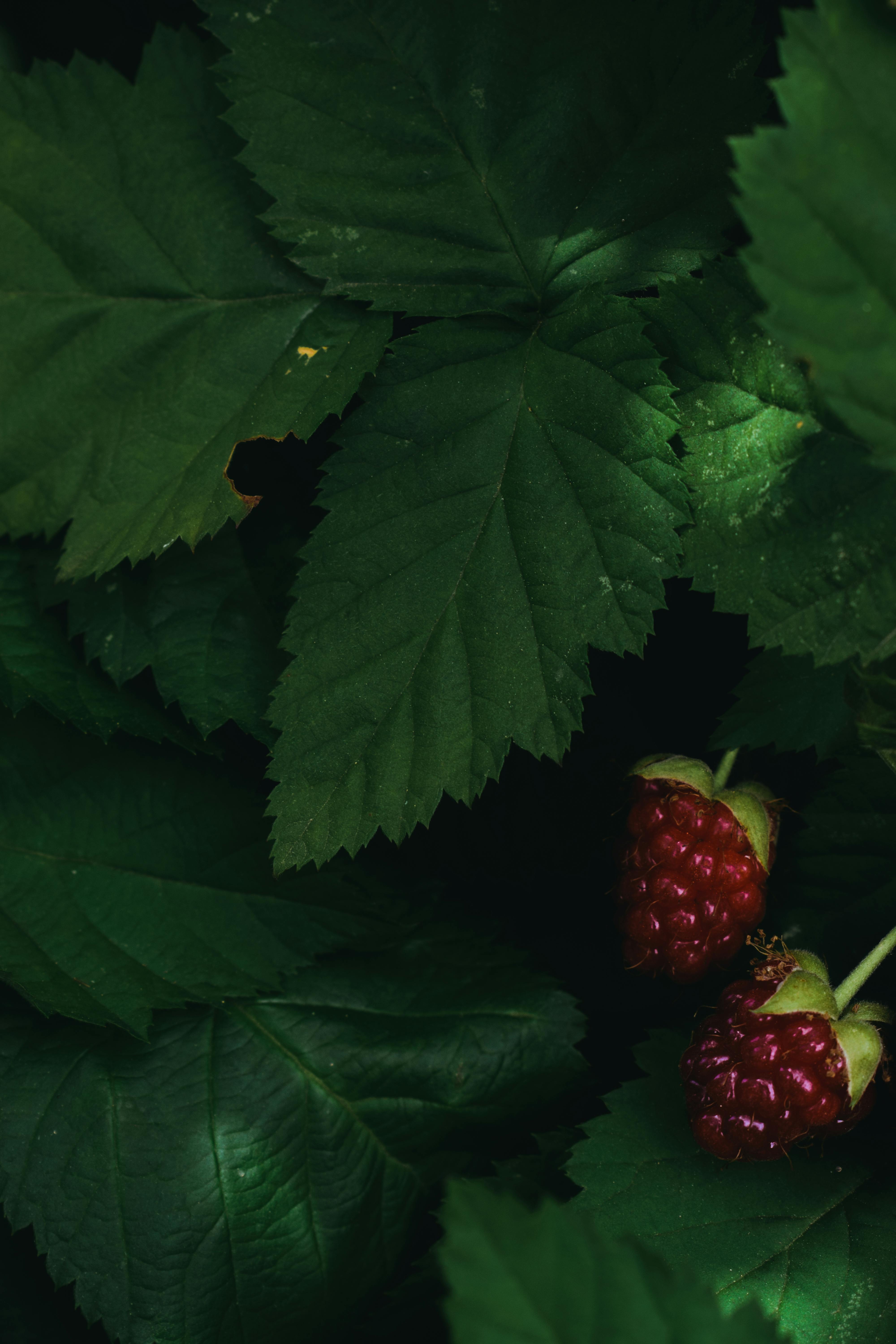 Motivation 54 Photos & Videos Collected by Nour Issa