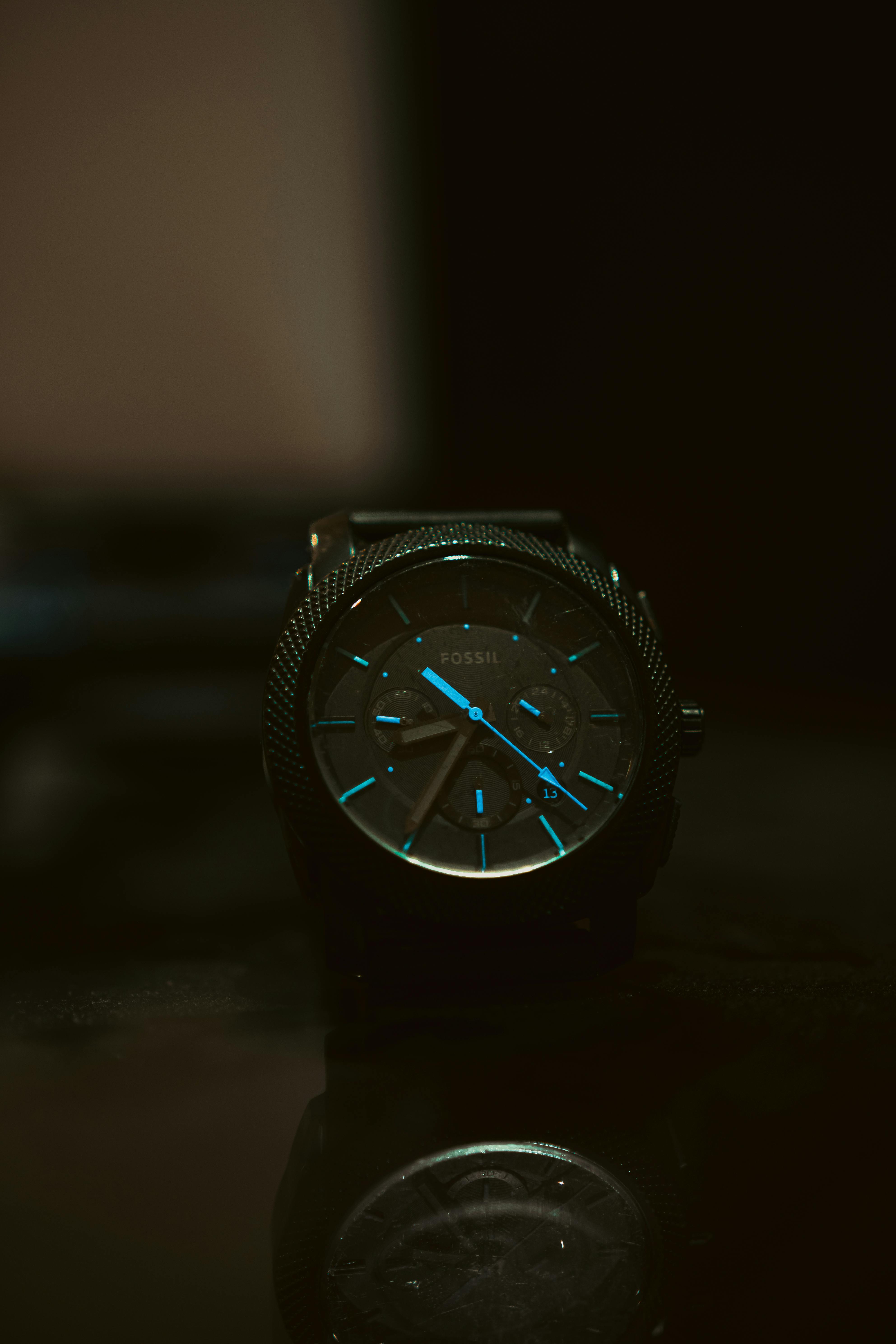 Fossil Photos, Download The BEST Free Fossil Stock Photos & HD Images