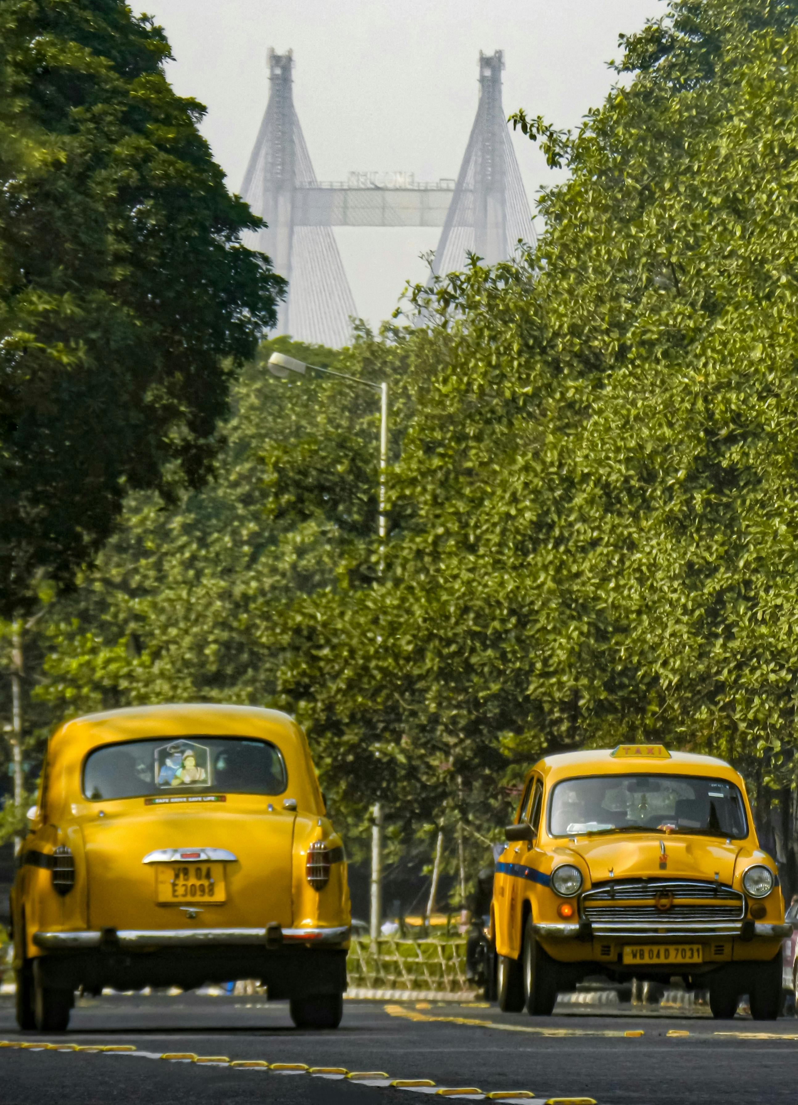 Yellow Cars on a Road Between Green Trees · Free Stock Photo