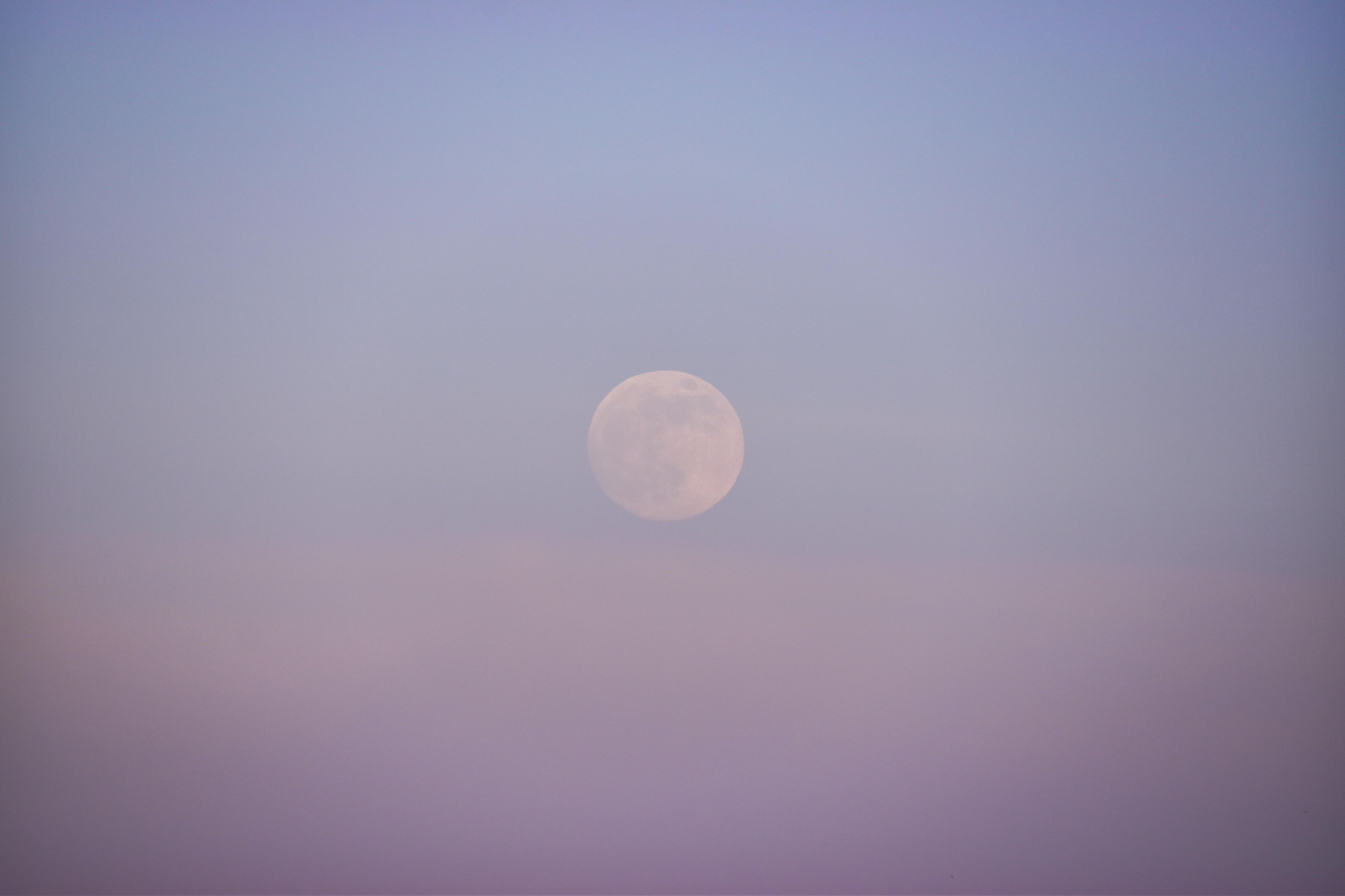 Moon Light Reflection on Sea · Free Stock Photo