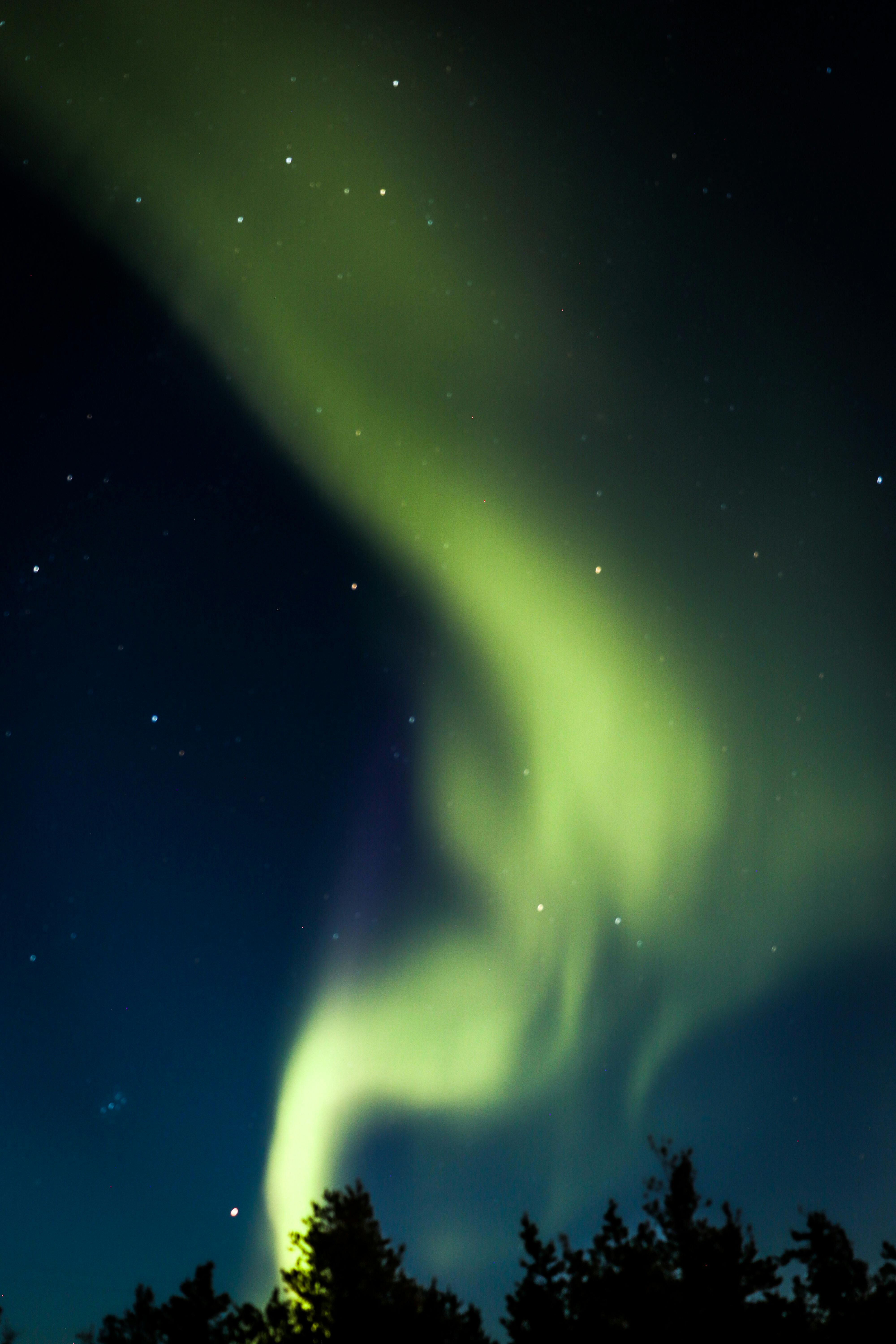 Photo of Night Sky with Aurora Borealis · Free Stock Photo