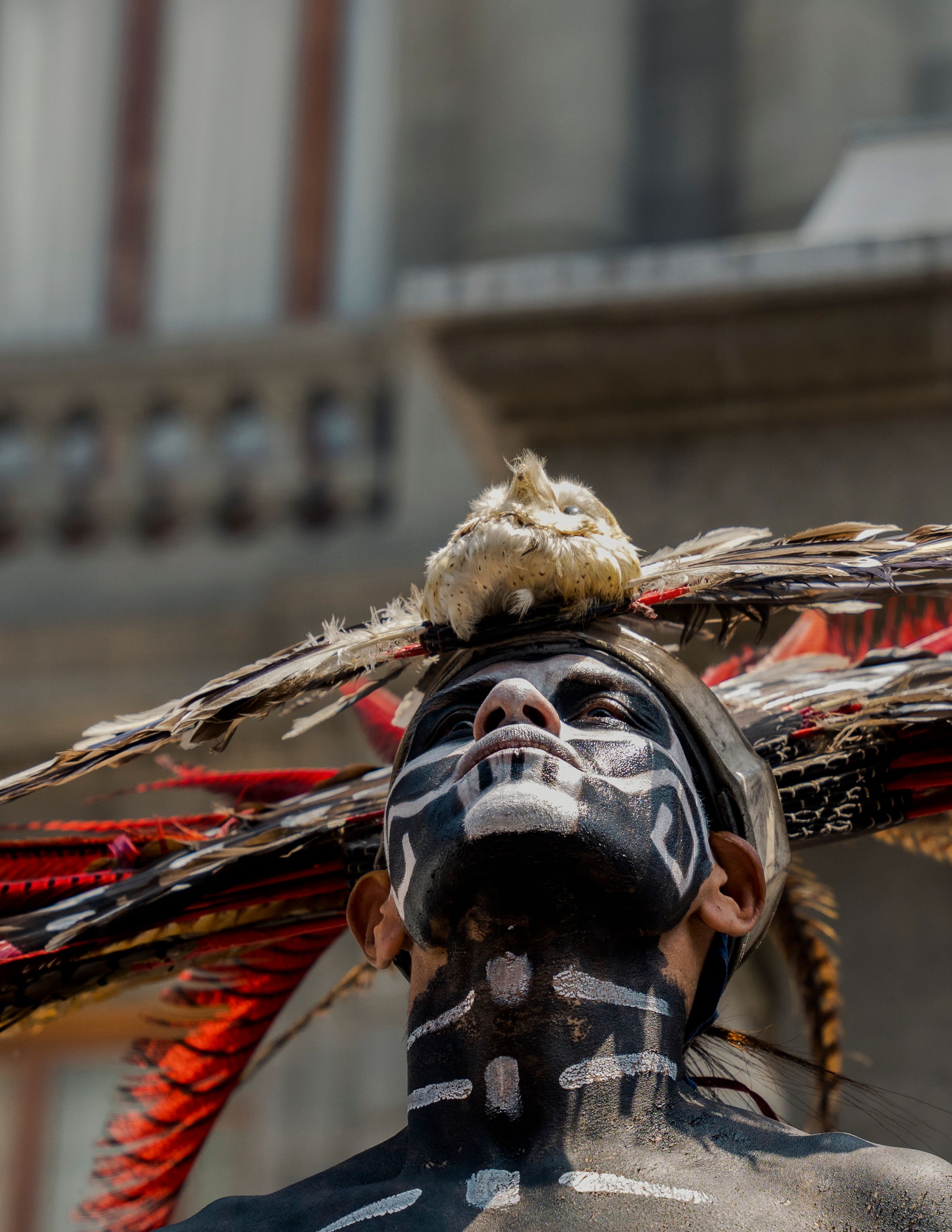 Woman in a Traditional Mexican Face Paint and a Floral Headpiece · Free ...