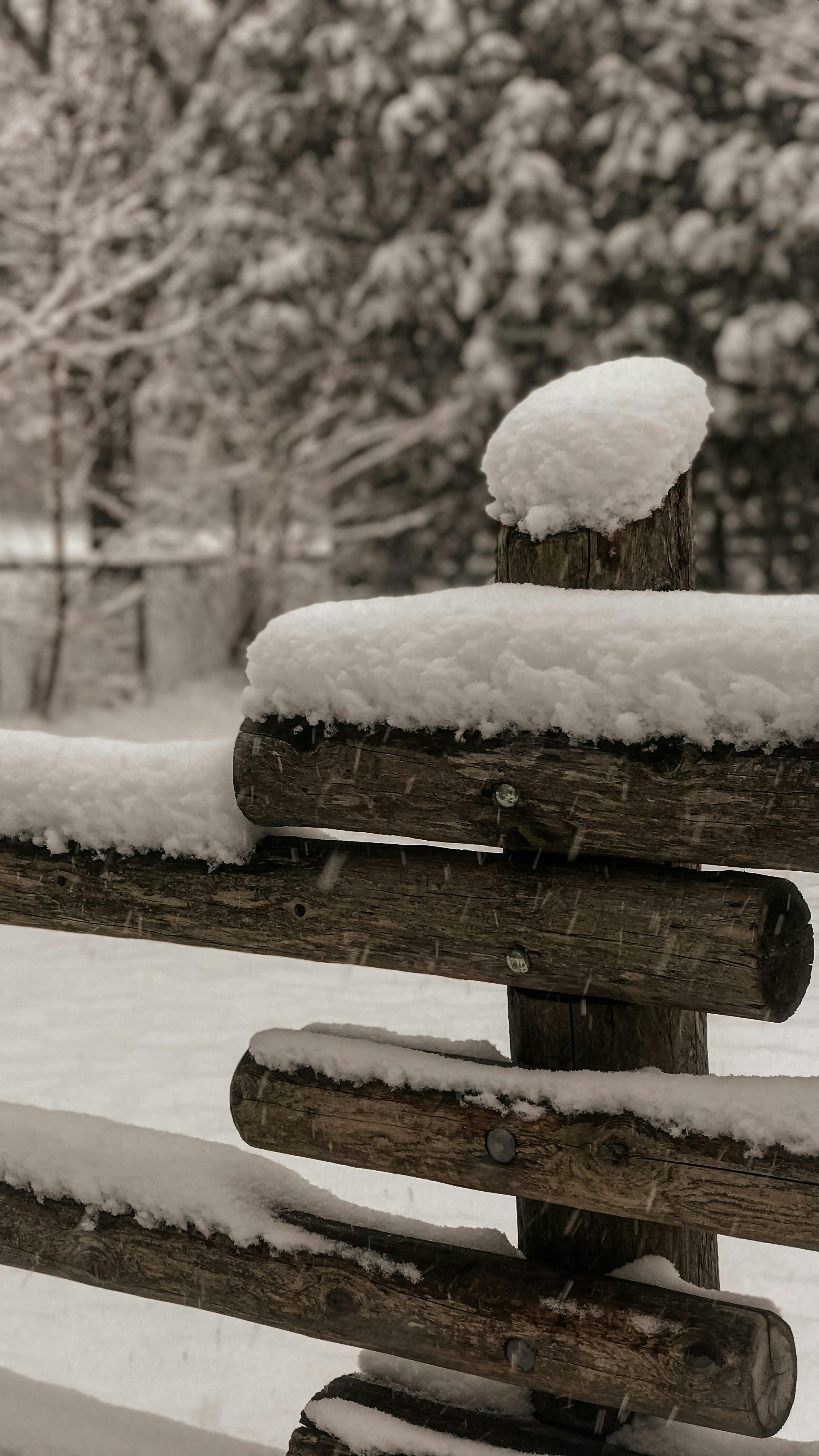 A Wooden Fence with Snow · Free Stock Photo