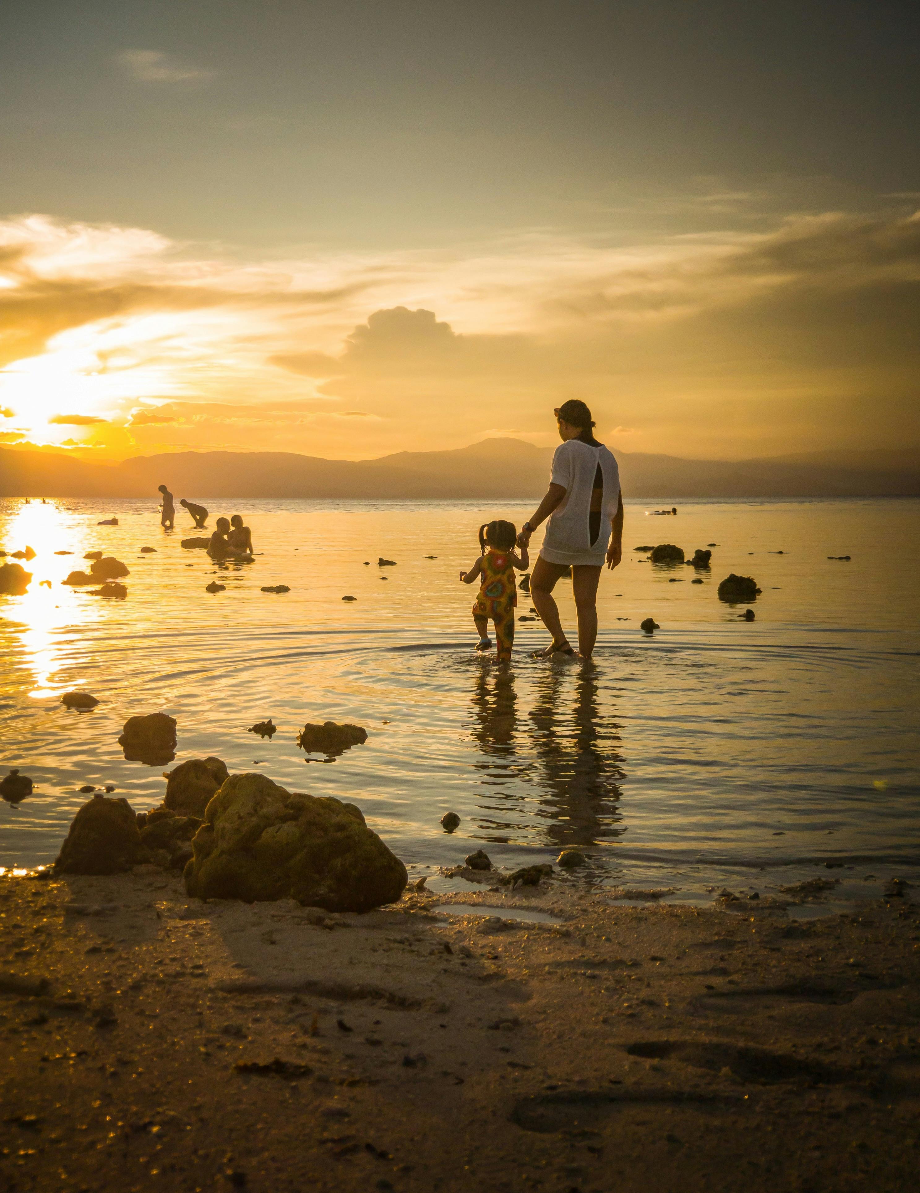 Photo of People On Beach During Sunset · Free Stock Photo