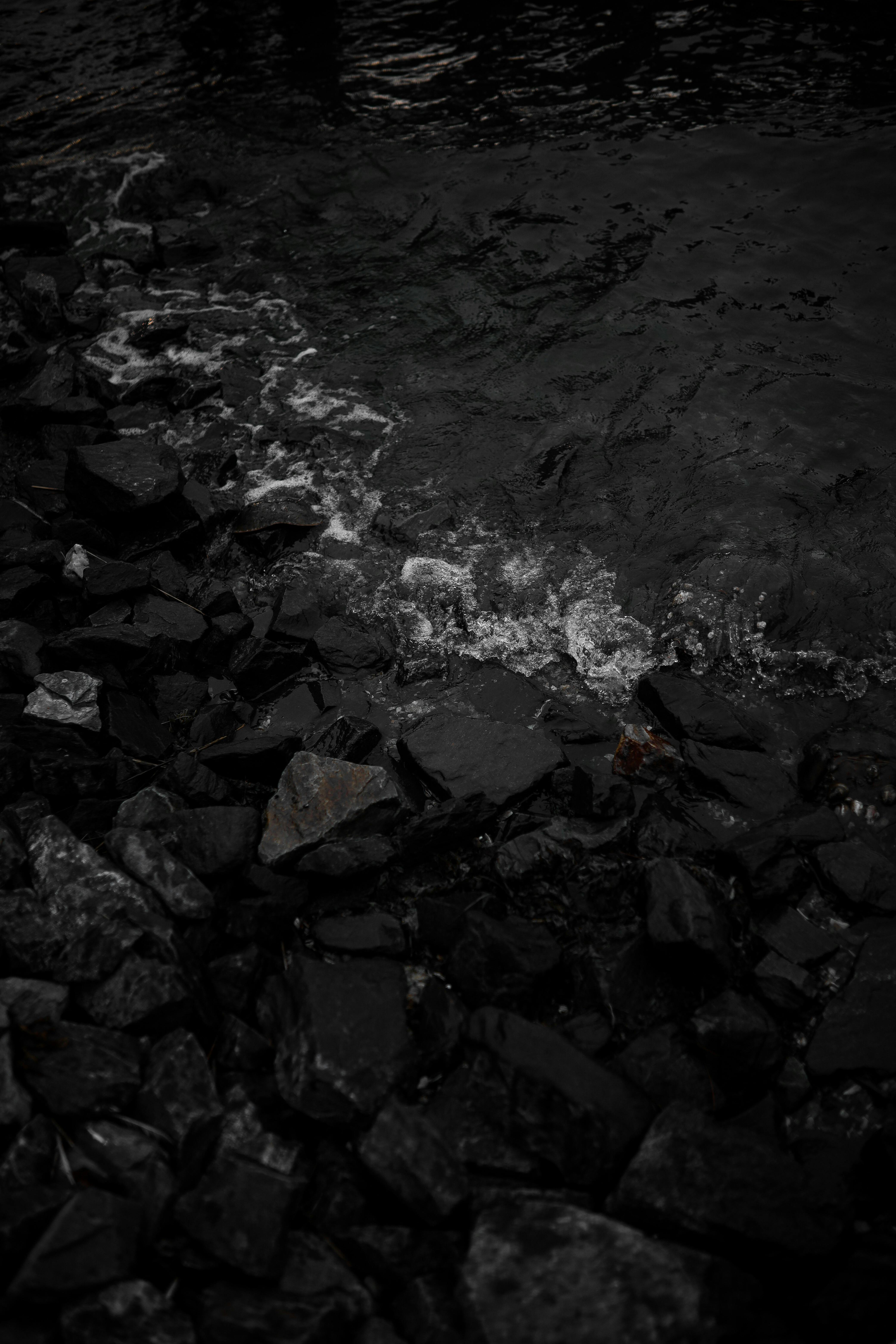 Dimitar Dimitrov - Photography