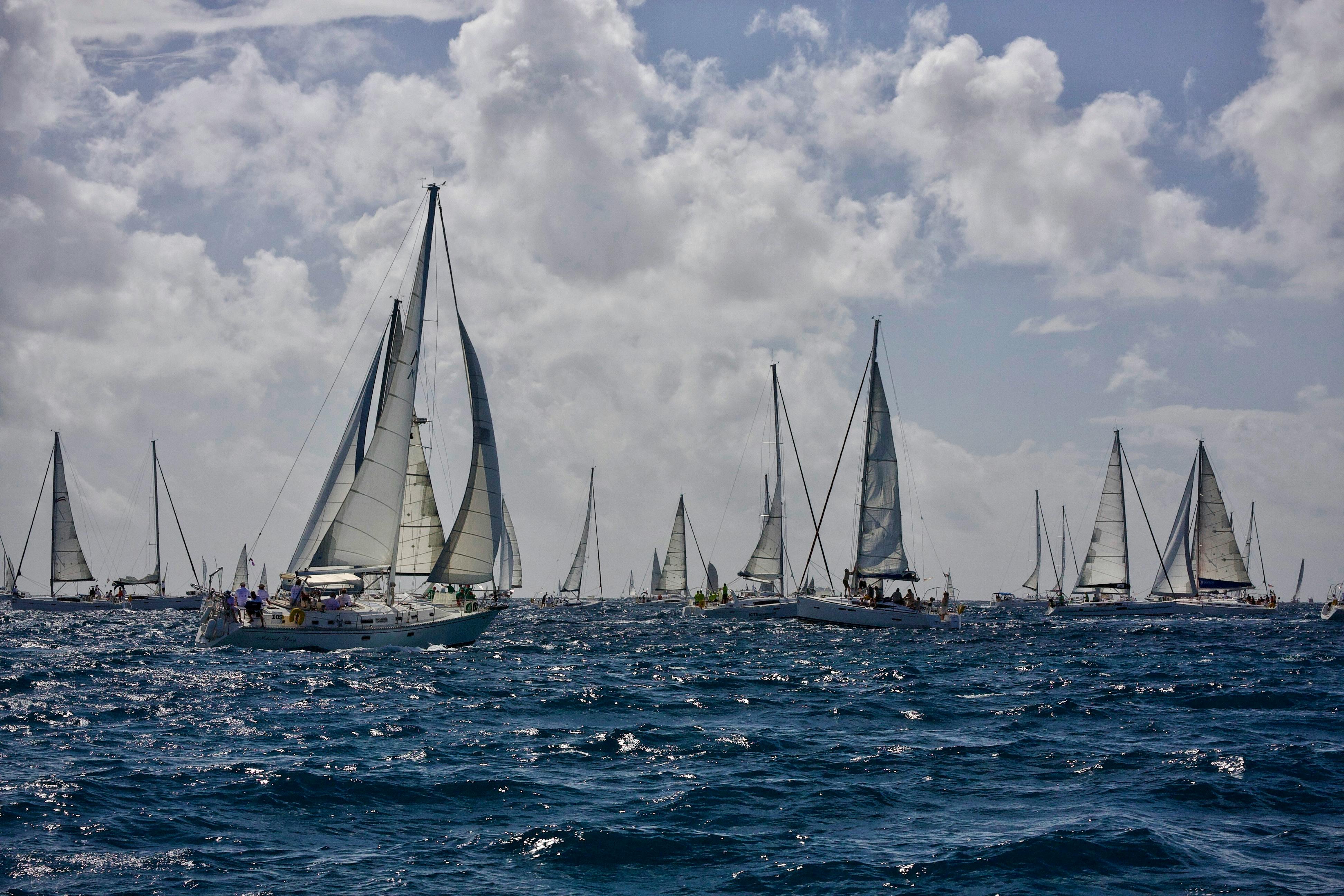 Sailboats in the Sea · Free Stock Photo