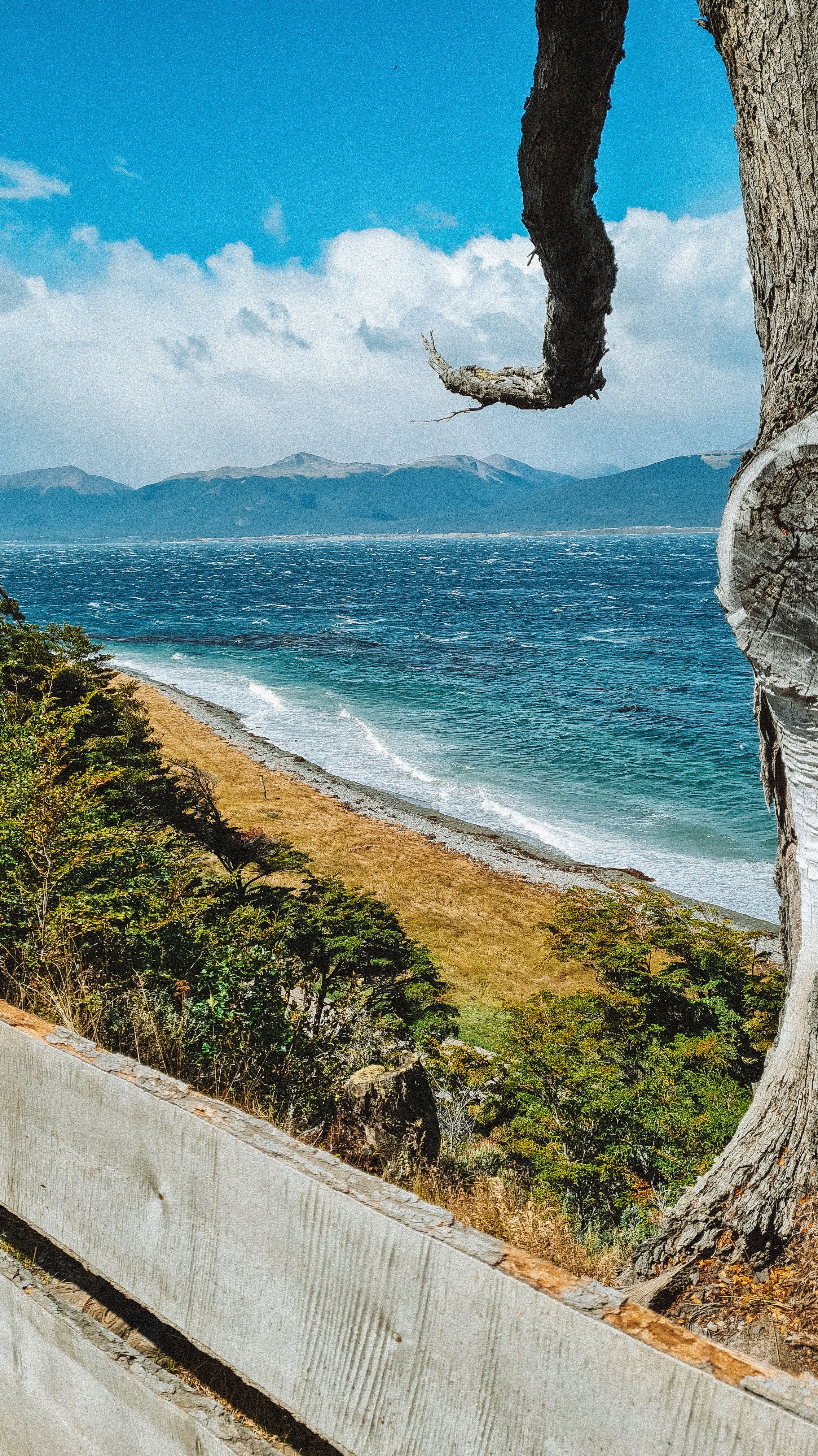 Photo of Beach During Daytime · Free Stock Photo