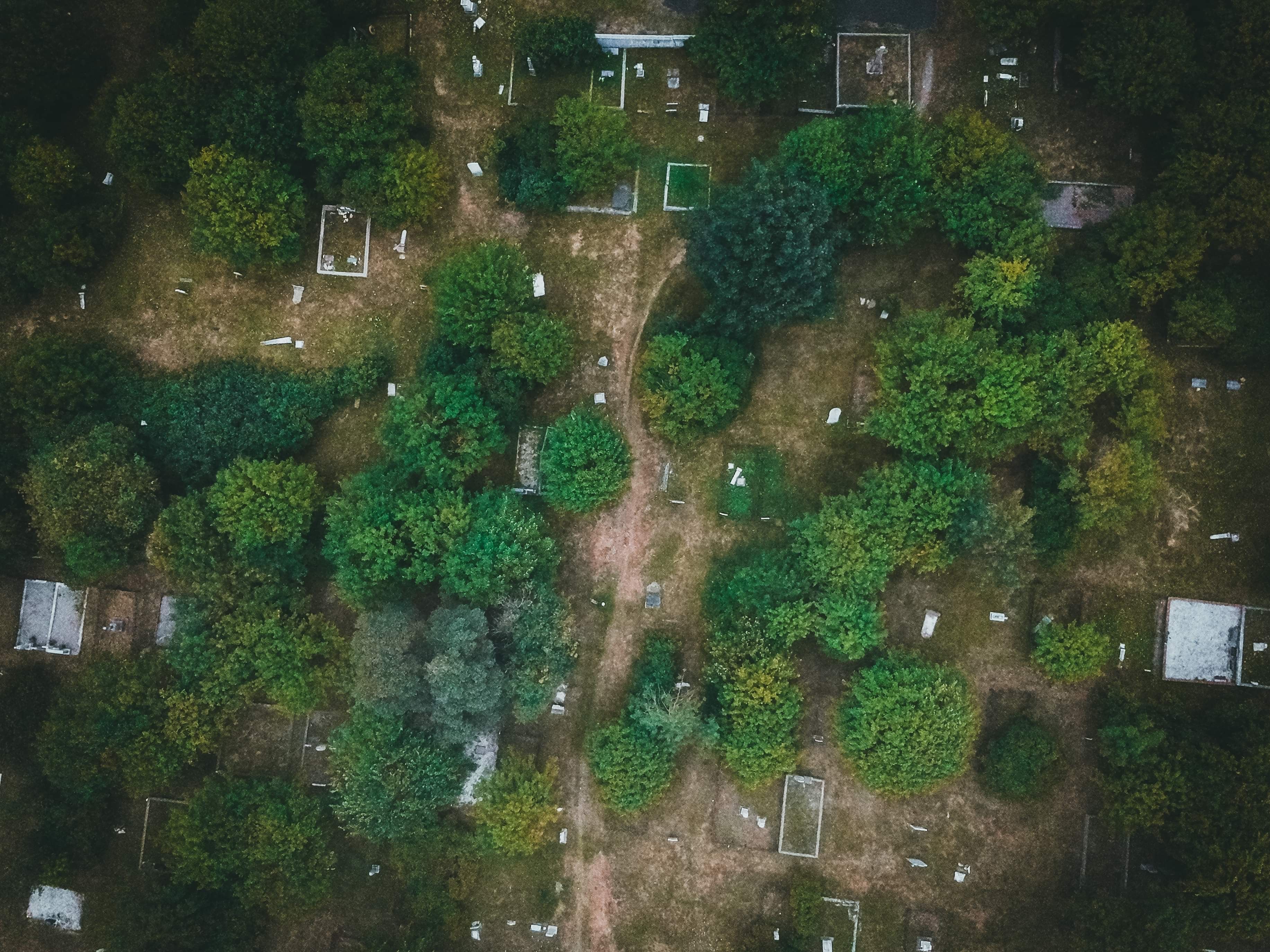 Top View of Graveyard · Free Stock Photo