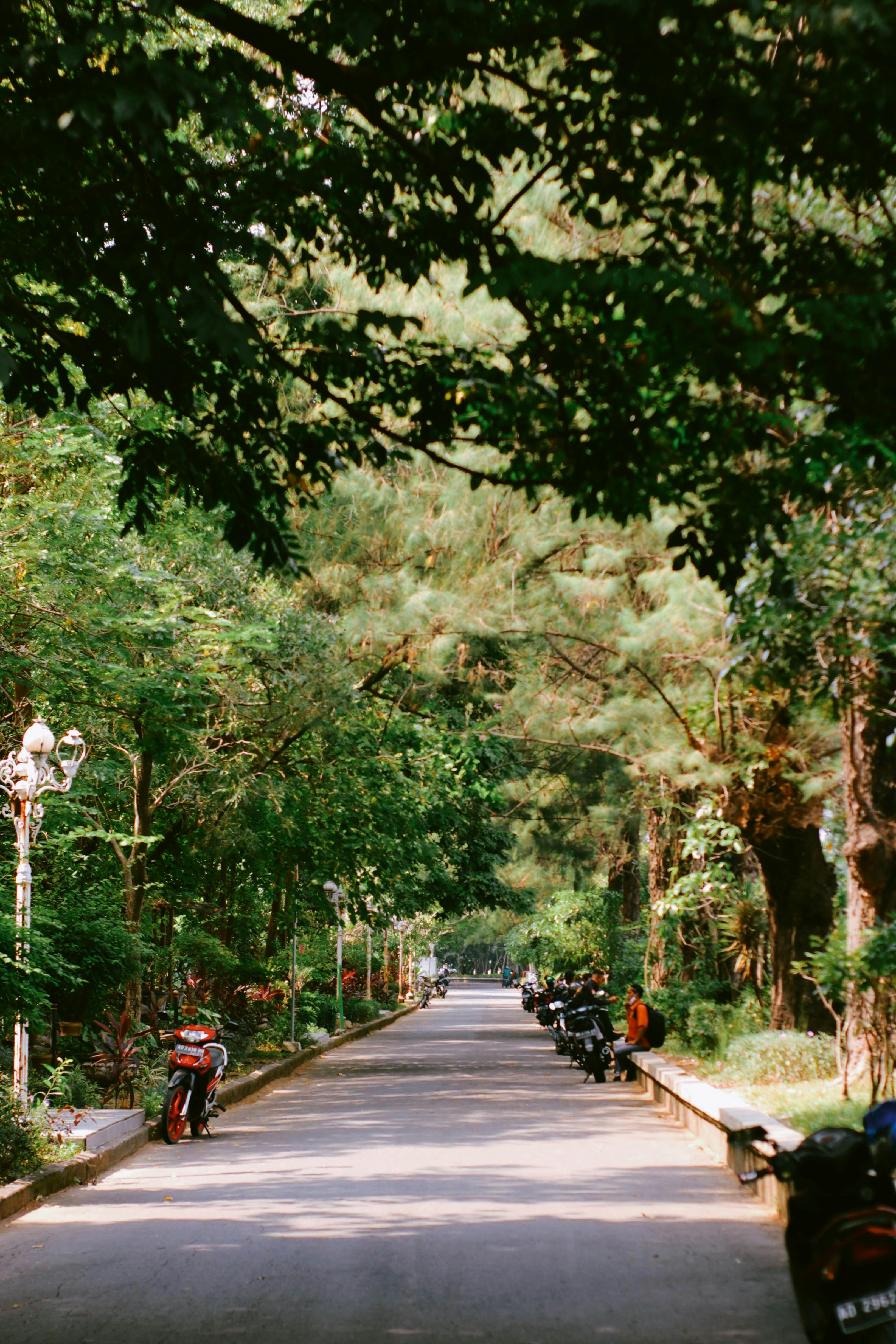 Park Scenery Photos, Download The BEST Free Park Scenery Stock Photos ...