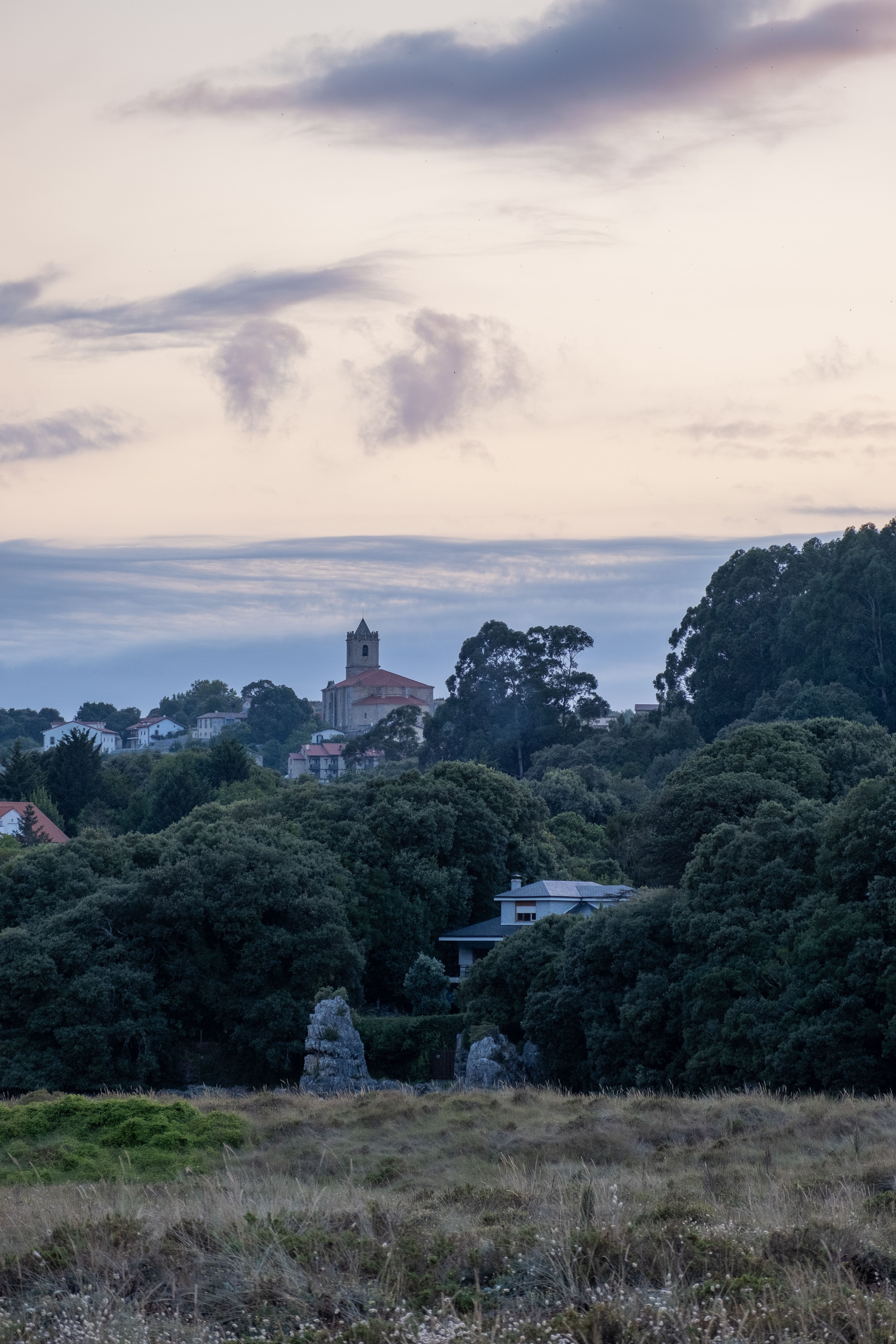 Green Trees Covering the Buildings · Free Stock Photo