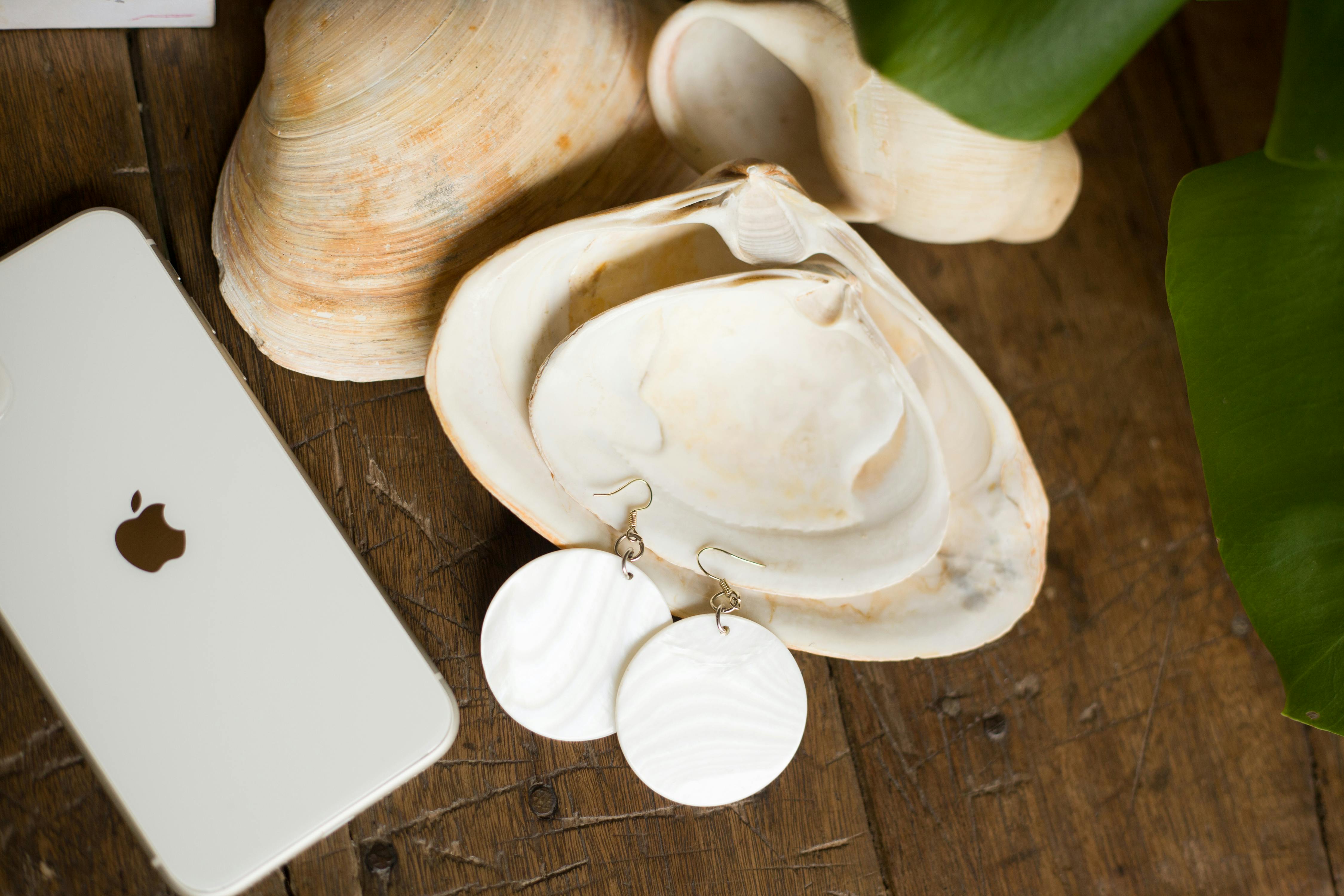 A Close-Up Shot of Seashells · Free Stock Photo