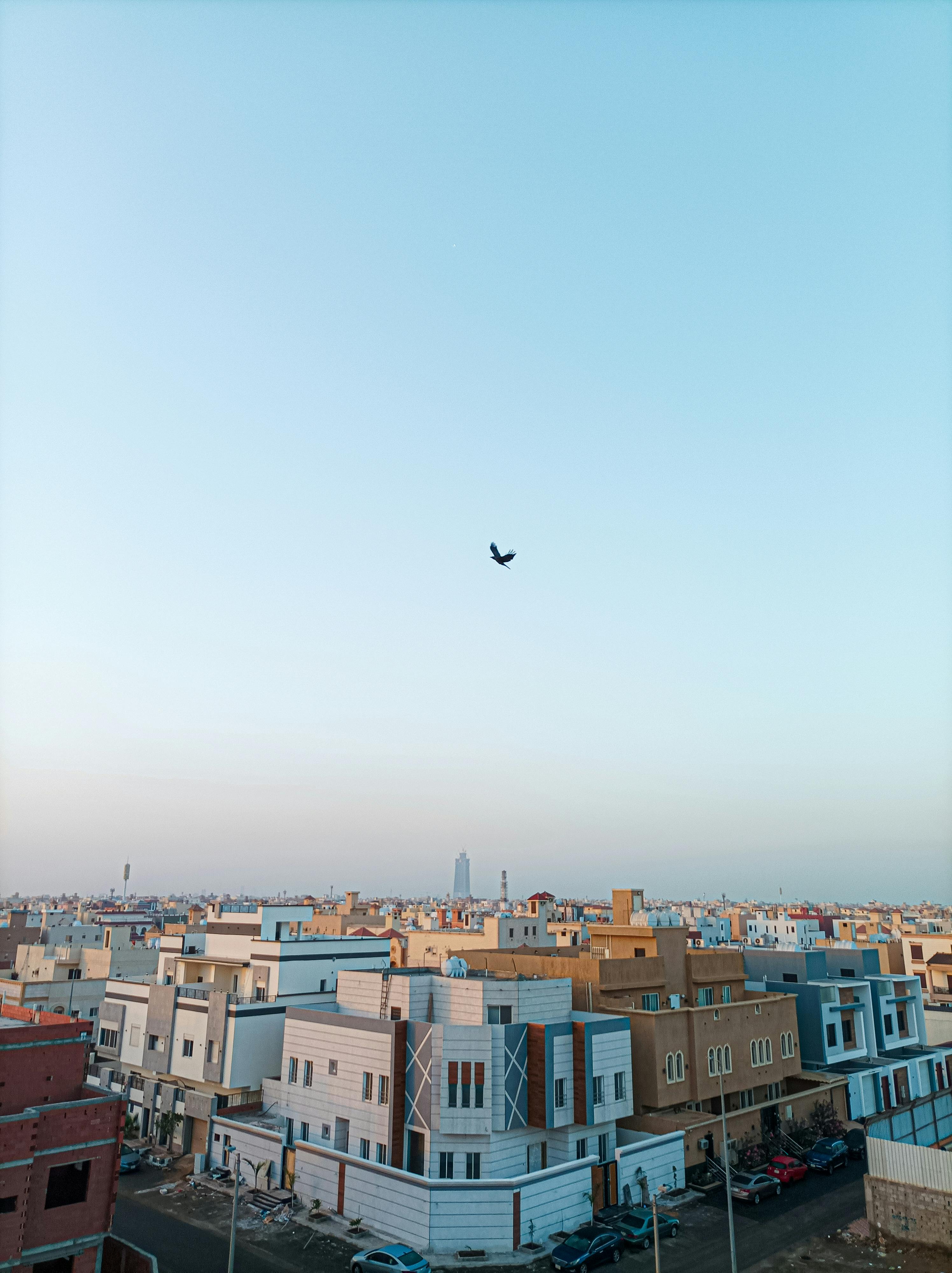 Free Stock Photos, Royalty Free Stock Images & Copyright Free Pictures ...