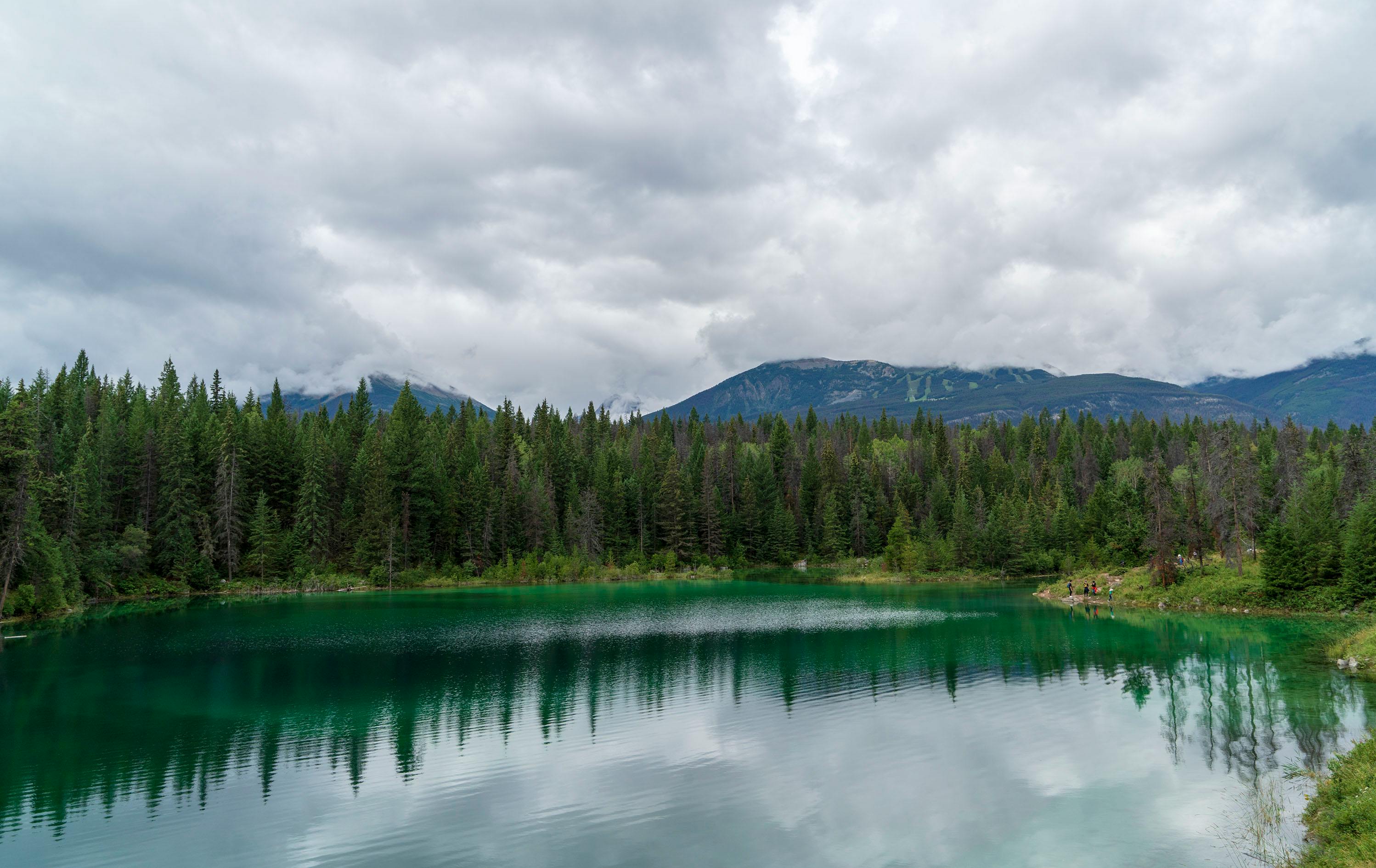Green Trees Near Lake Under Cloudy Sky · Free Stock Photo