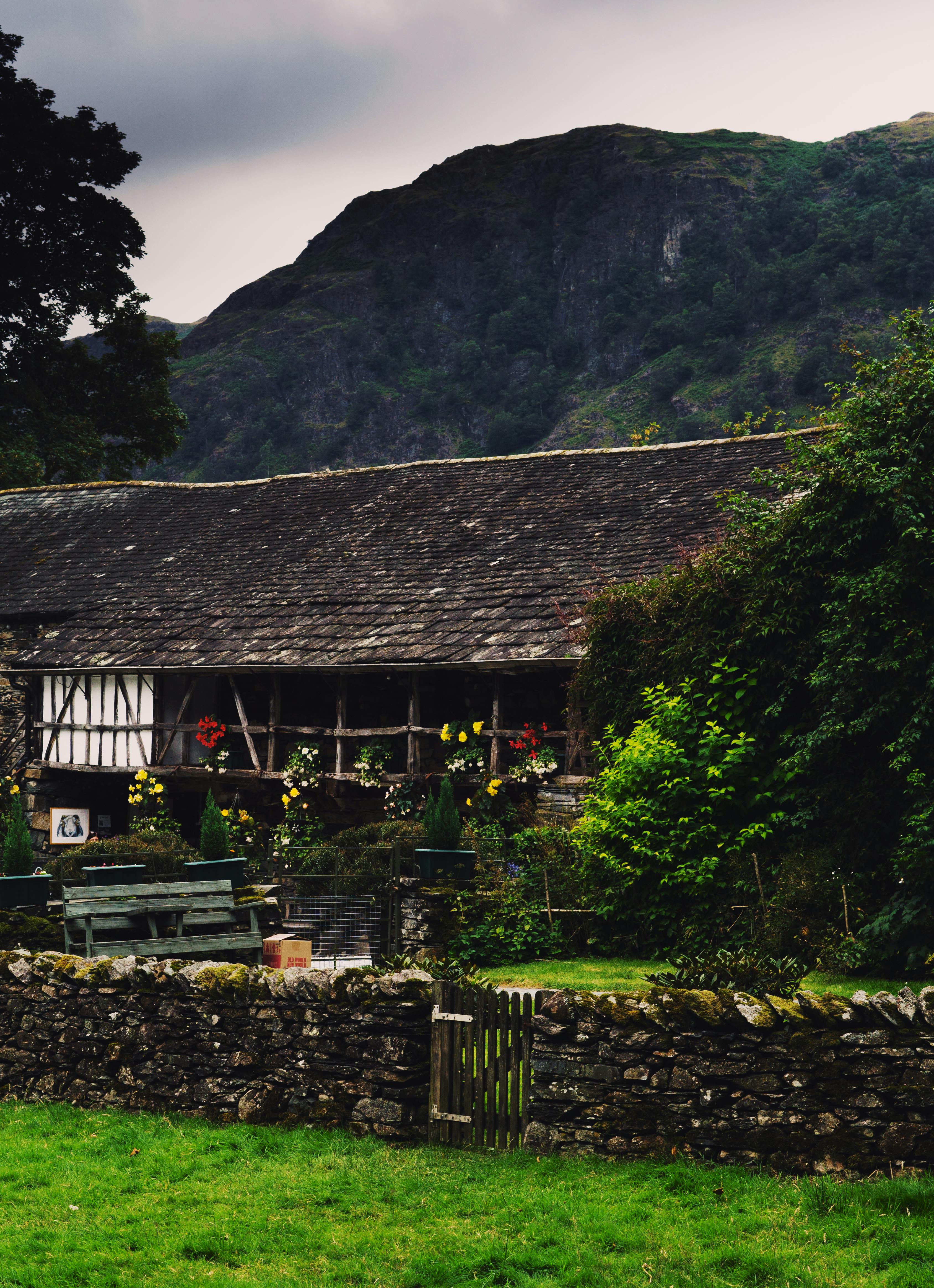 Timbers Landscape Photos, Download The BEST Free Timbers Landscape ...