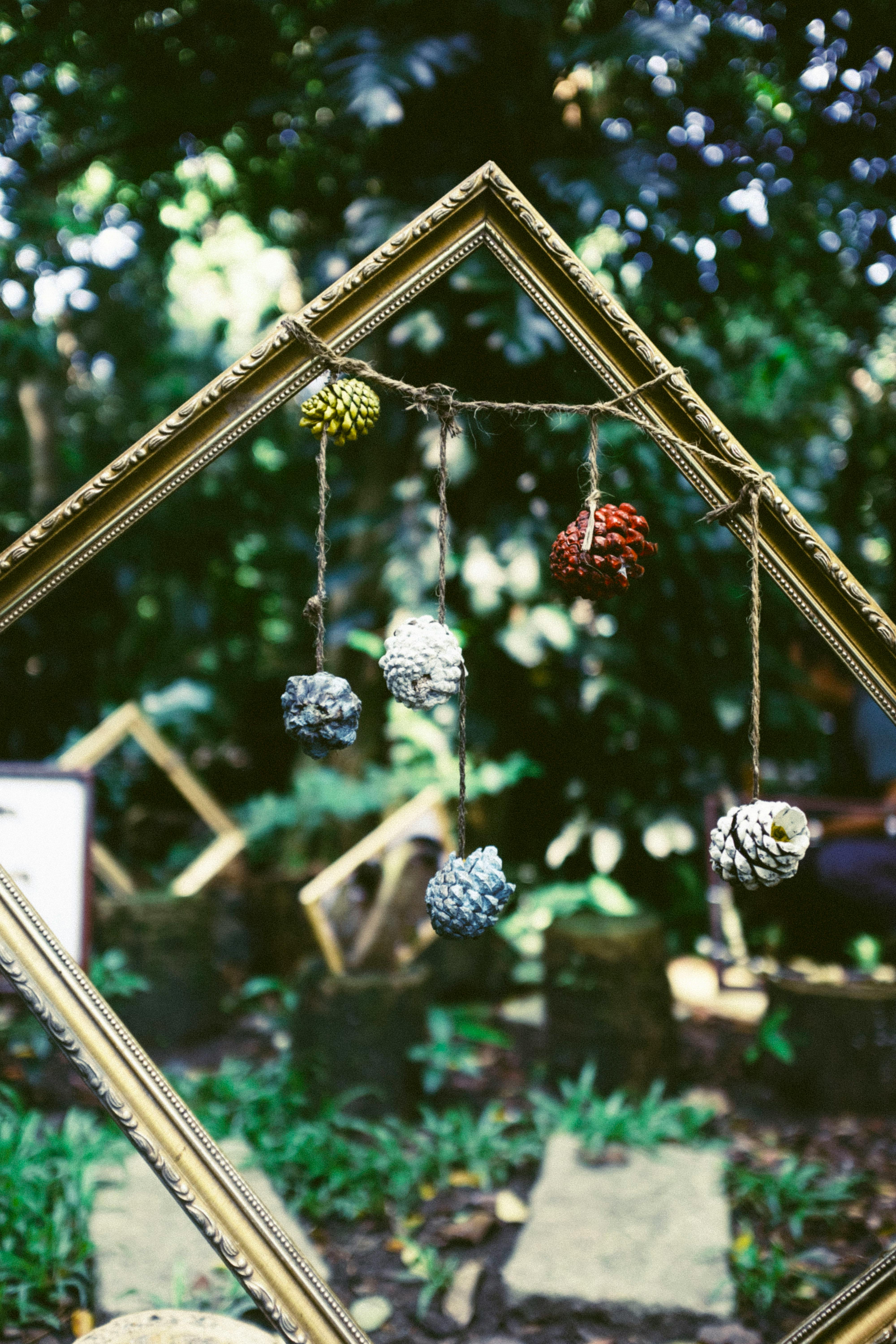 Pine Cones Hanging on the Gold Frame · Free Stock Photo