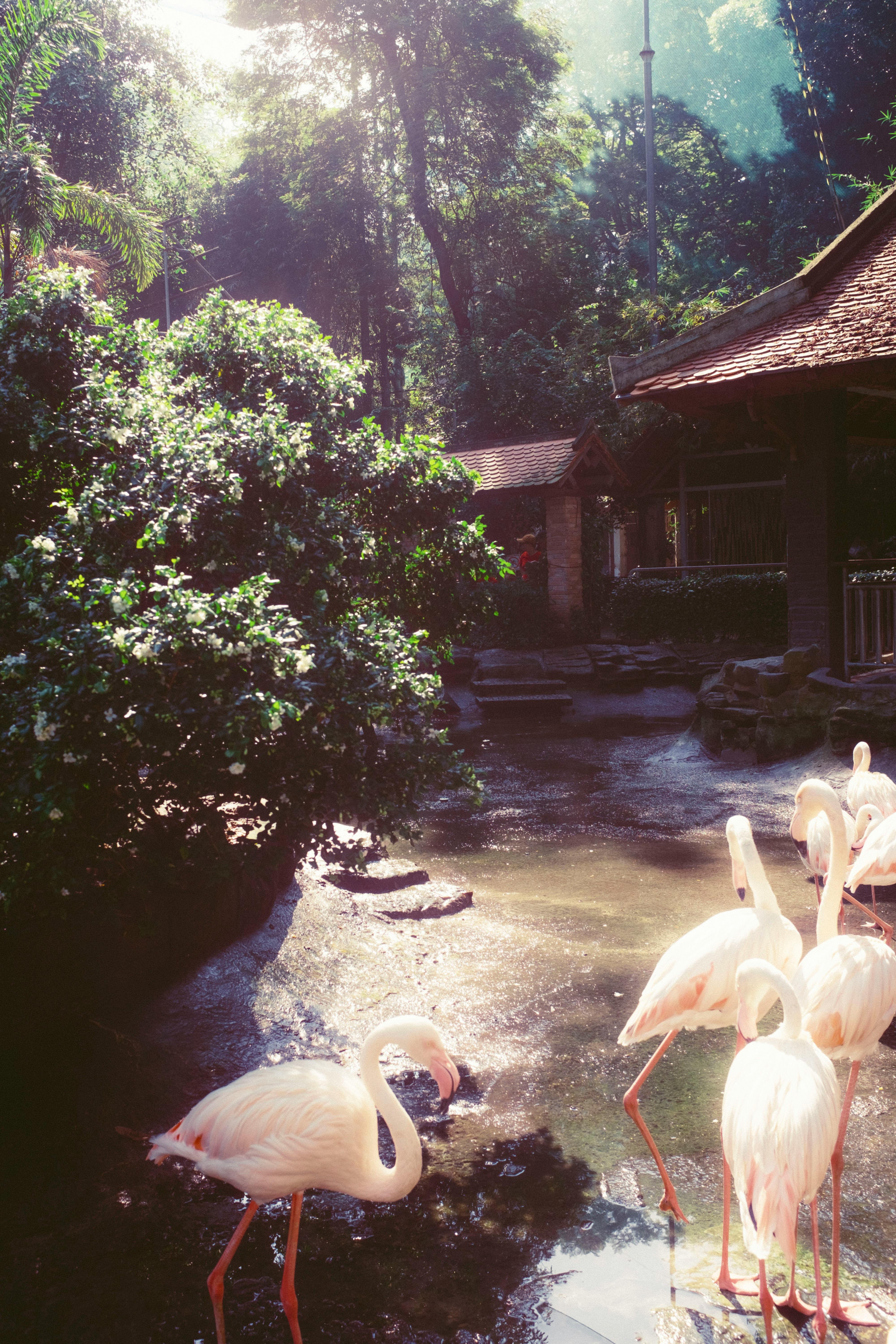 Zoo Houses Photos, Download The BEST Free Zoo Houses Stock Photos & HD ...