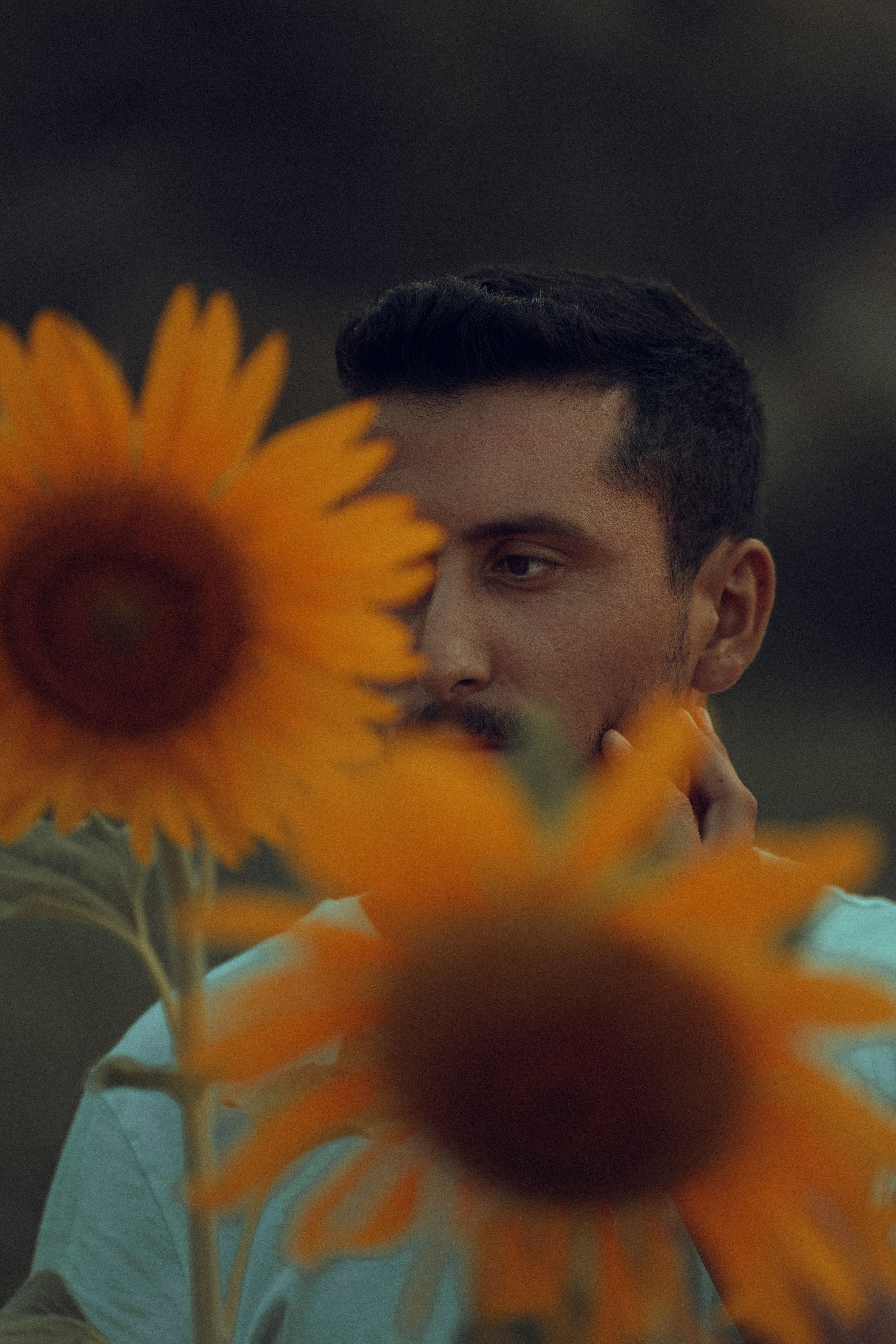 Man Near Sunflowers · Free Stock Photo