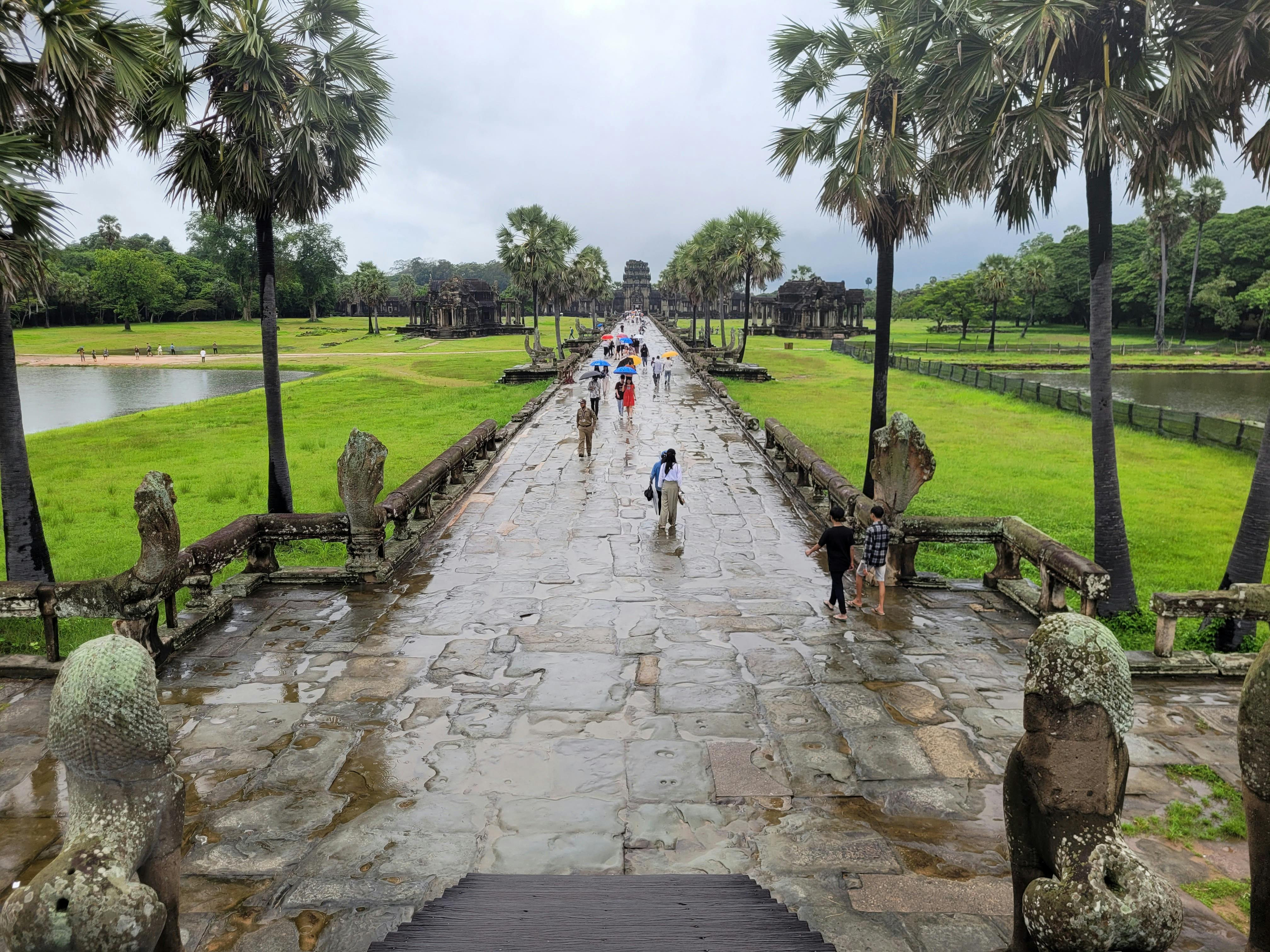 Closeup Photo of Human Left Hand · Free Stock Photo