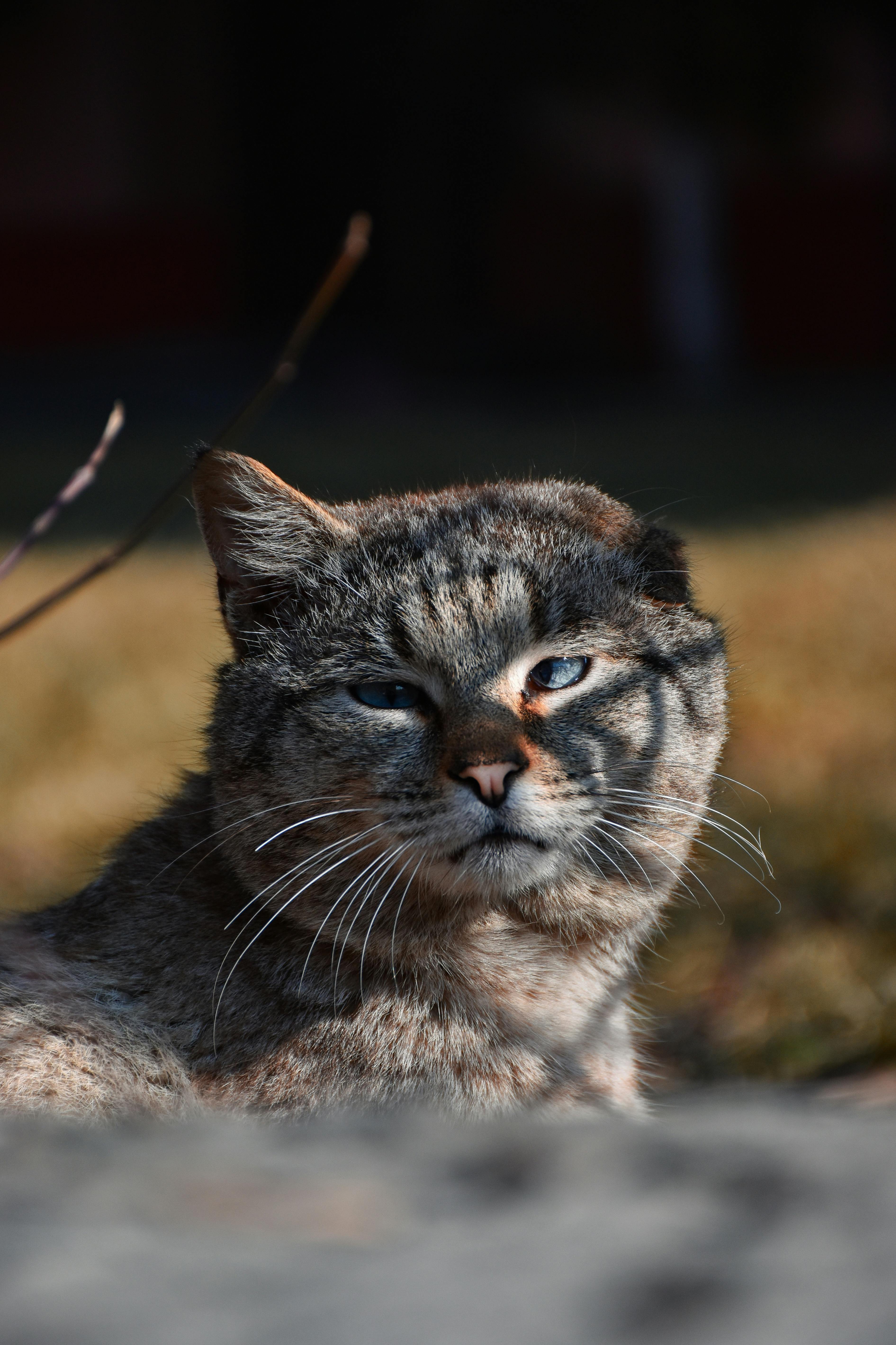 White Paper Signage on the Tree Bark · Free Stock Photo