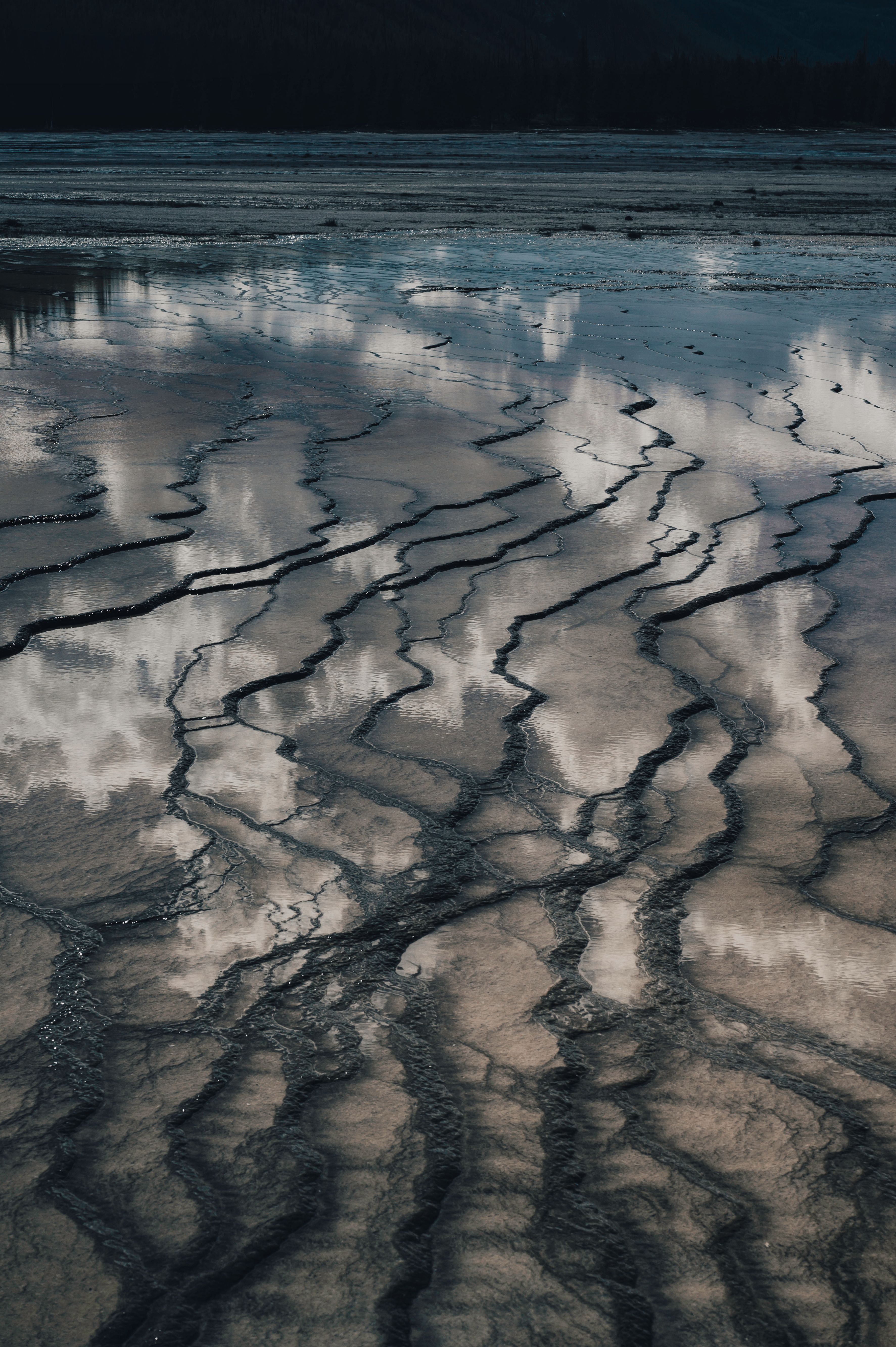 Close up of Mud on Marsh · Free Stock Photo