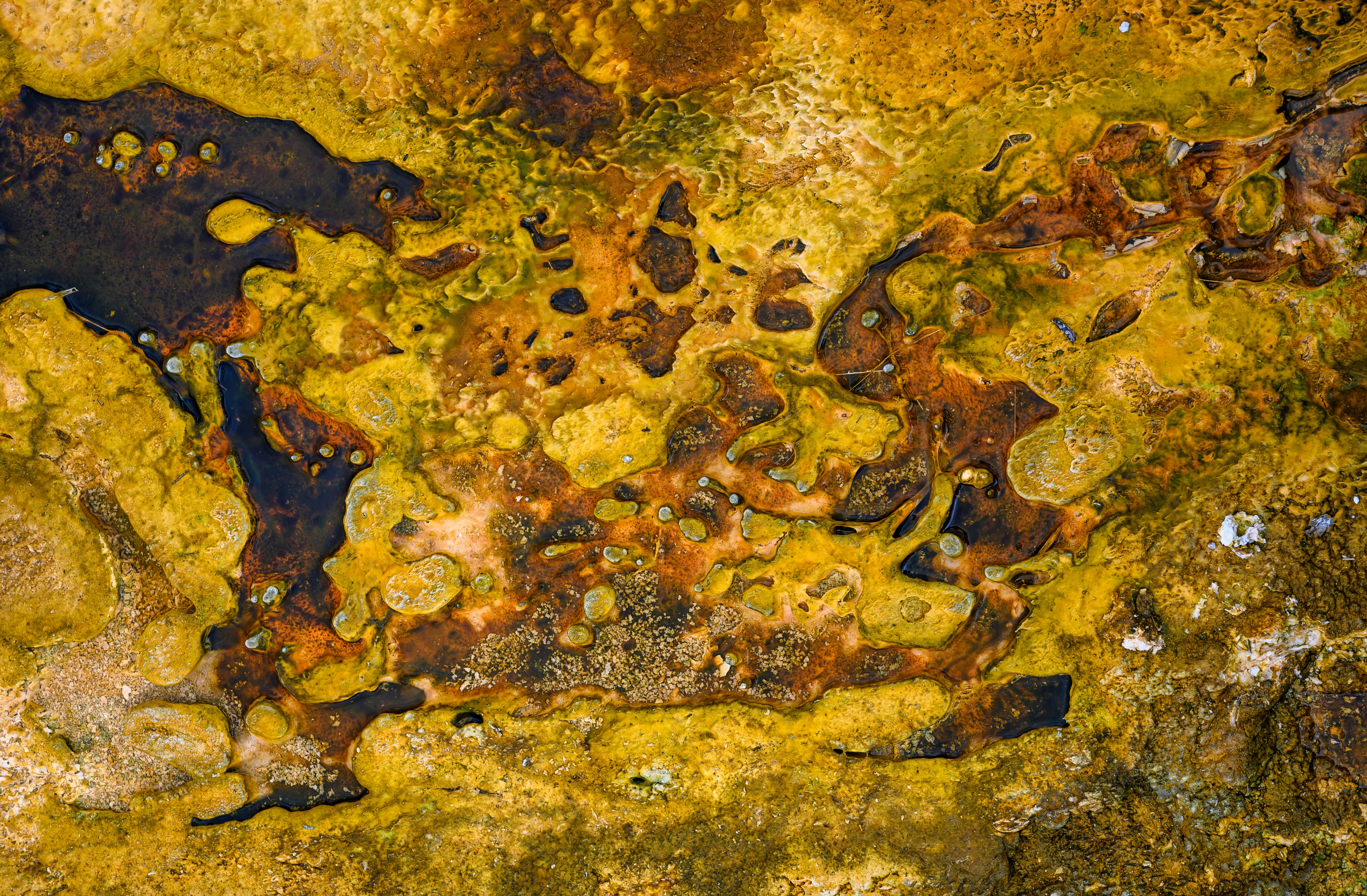 Visuals Of Diverse Ecosystems, Landscapes, And Climate Patterns Photos ...