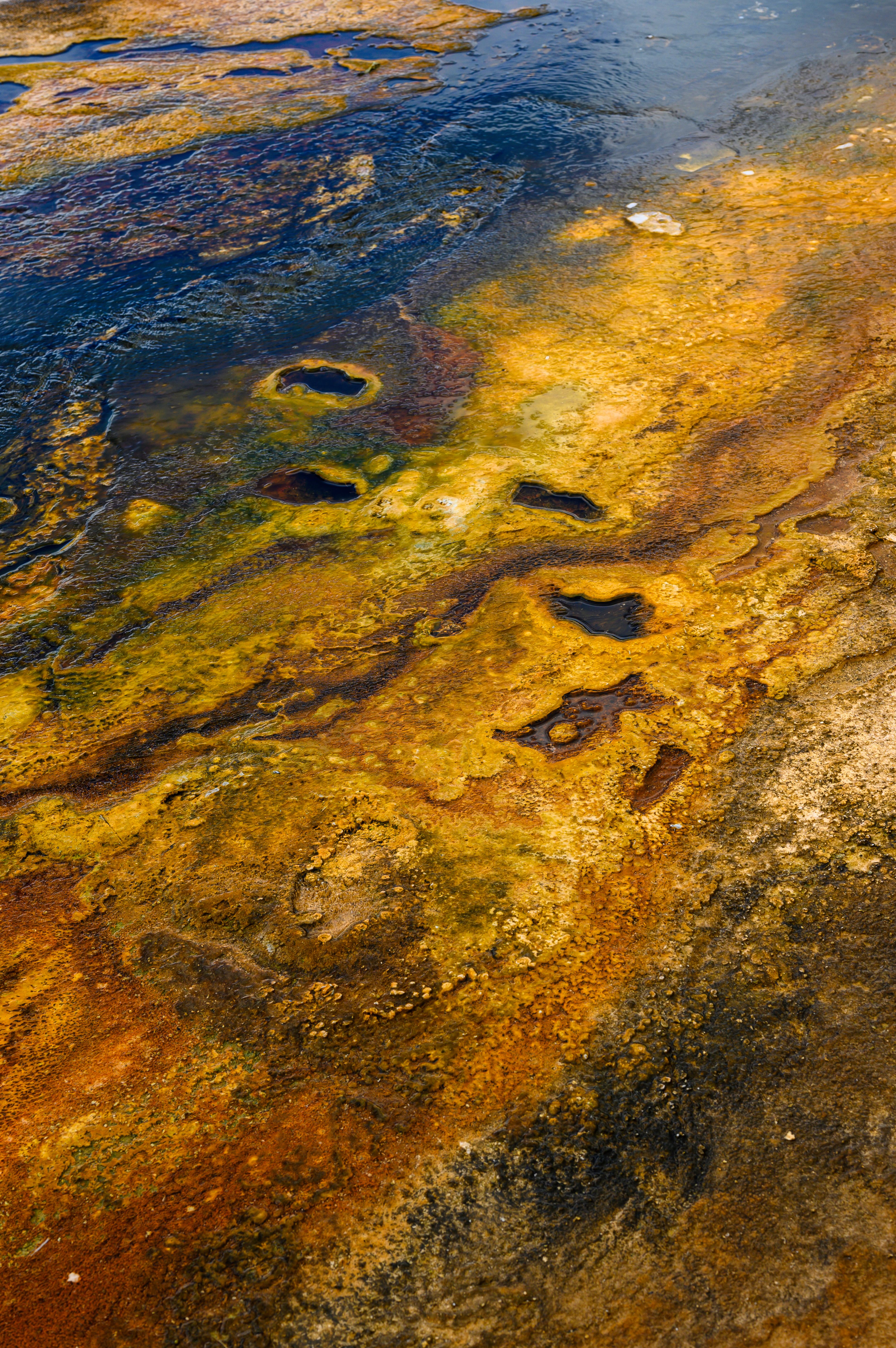 Aerial Shot of Landscape · Free Stock Photo