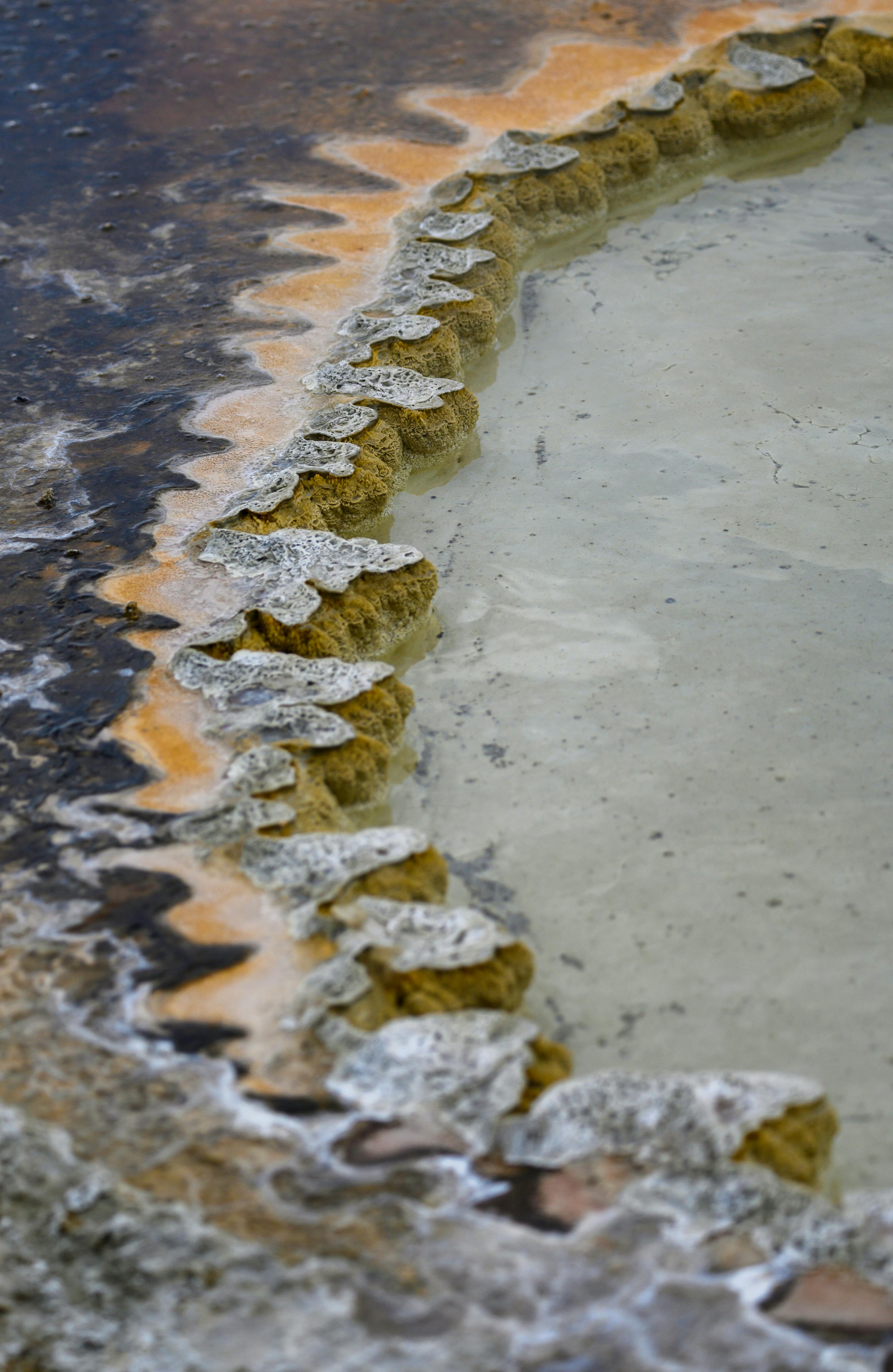 Healing Environment Photos, Download The BEST Free Healing Environment ...