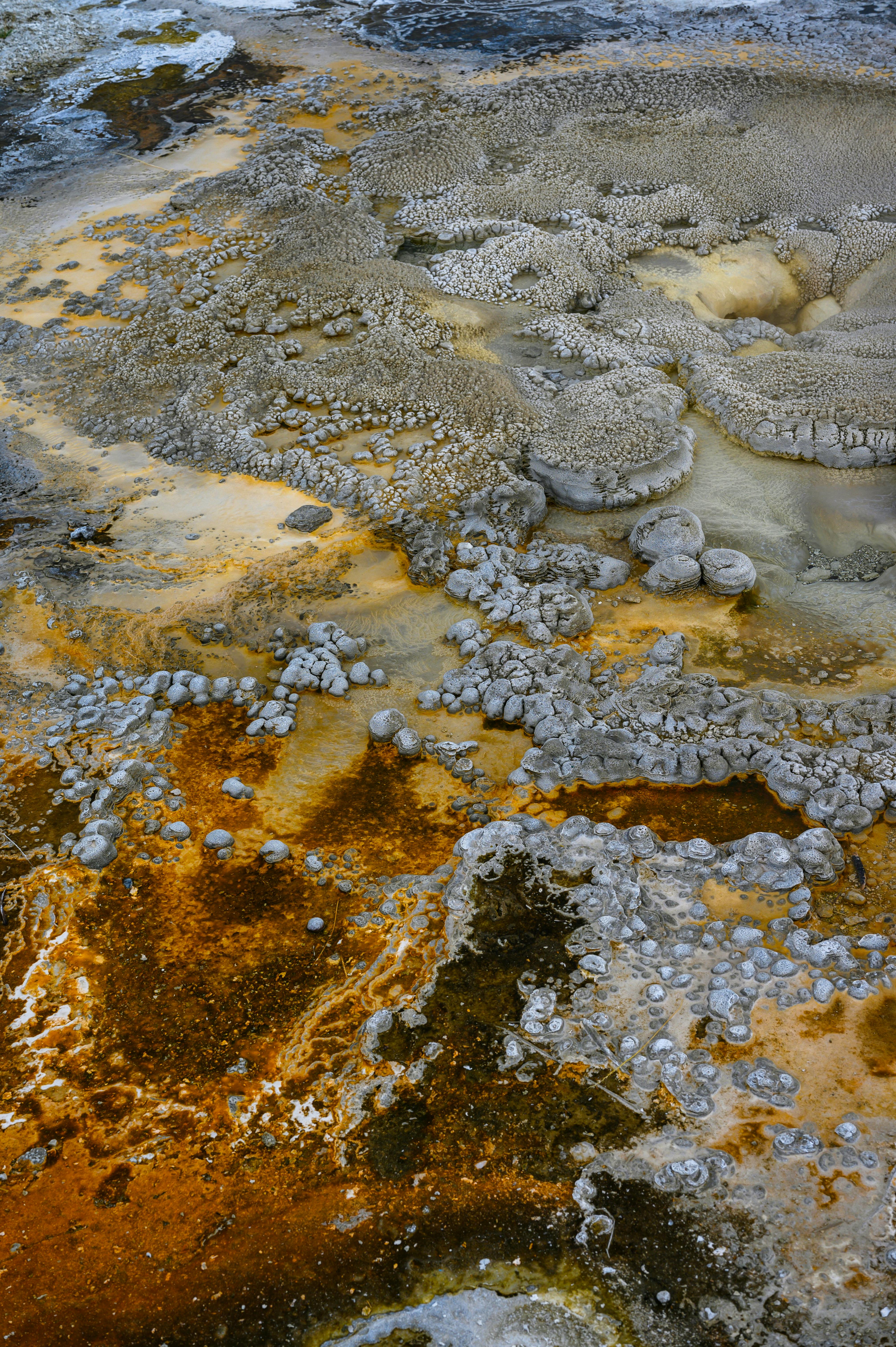 Sulfuric Hot Spring in Yellowstone National Park · Free Stock Photo
