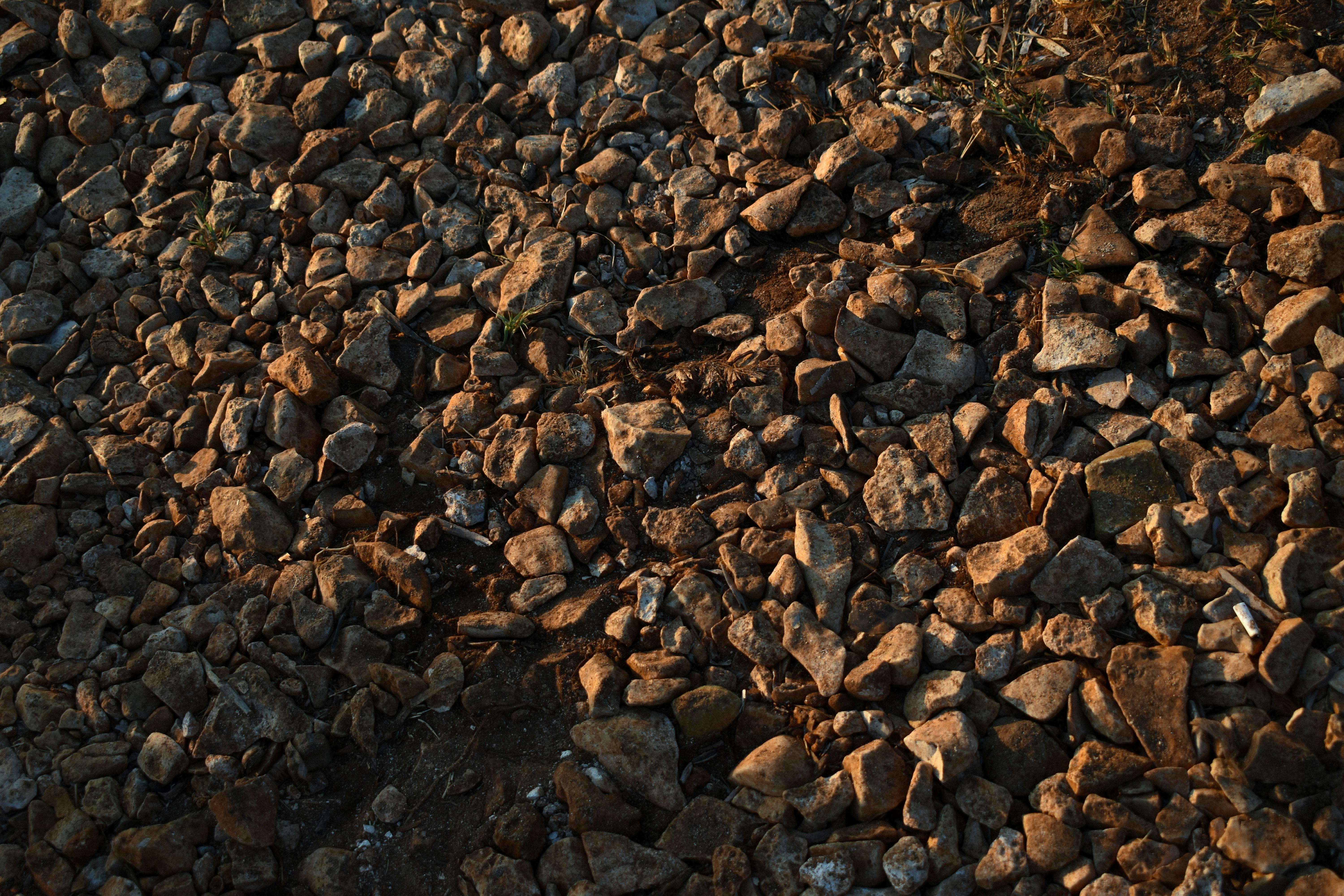 Brown and Black Stones on Ground · Free Stock Photo