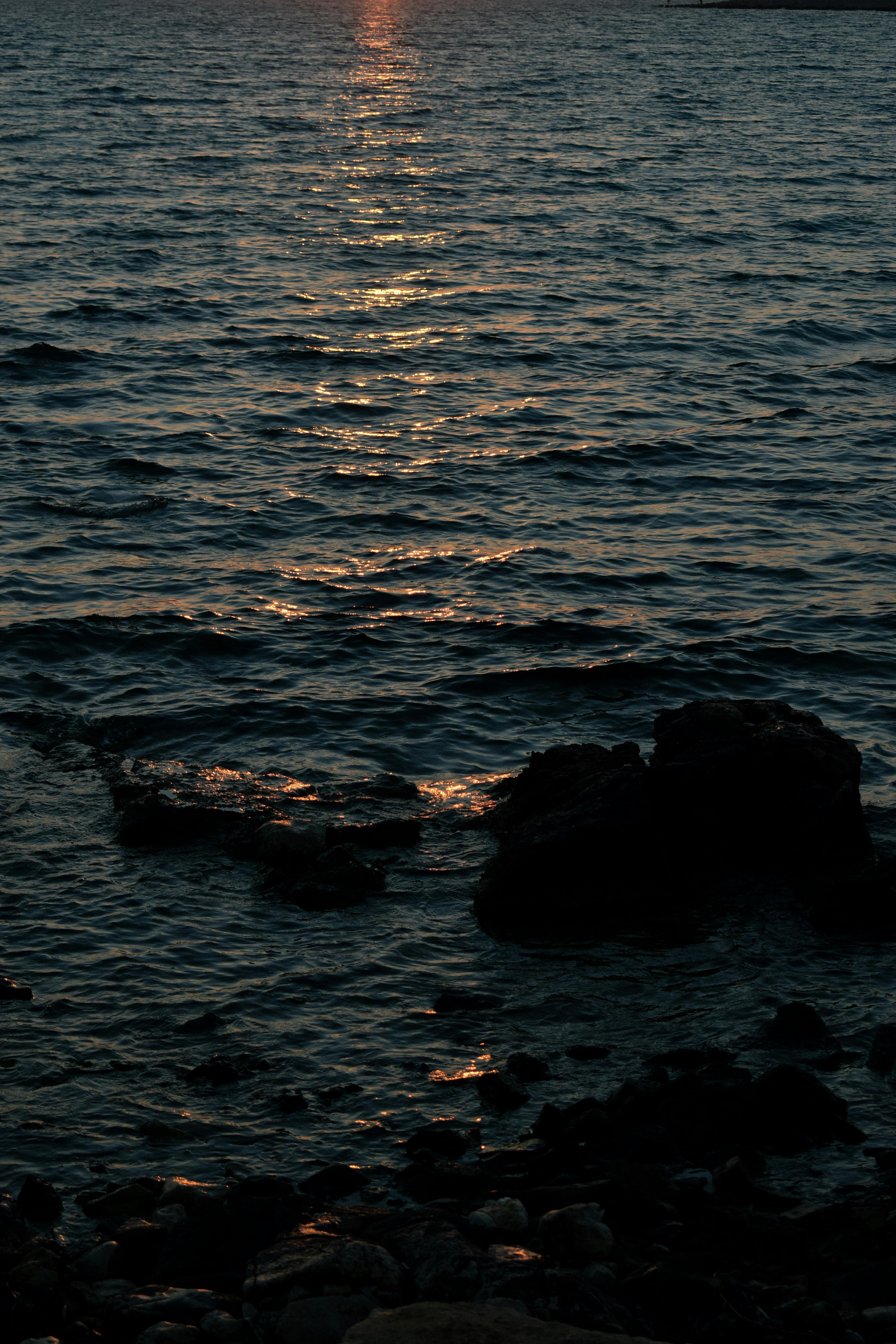 Sunlight Reflecting on Water Surface · Free Stock Photo