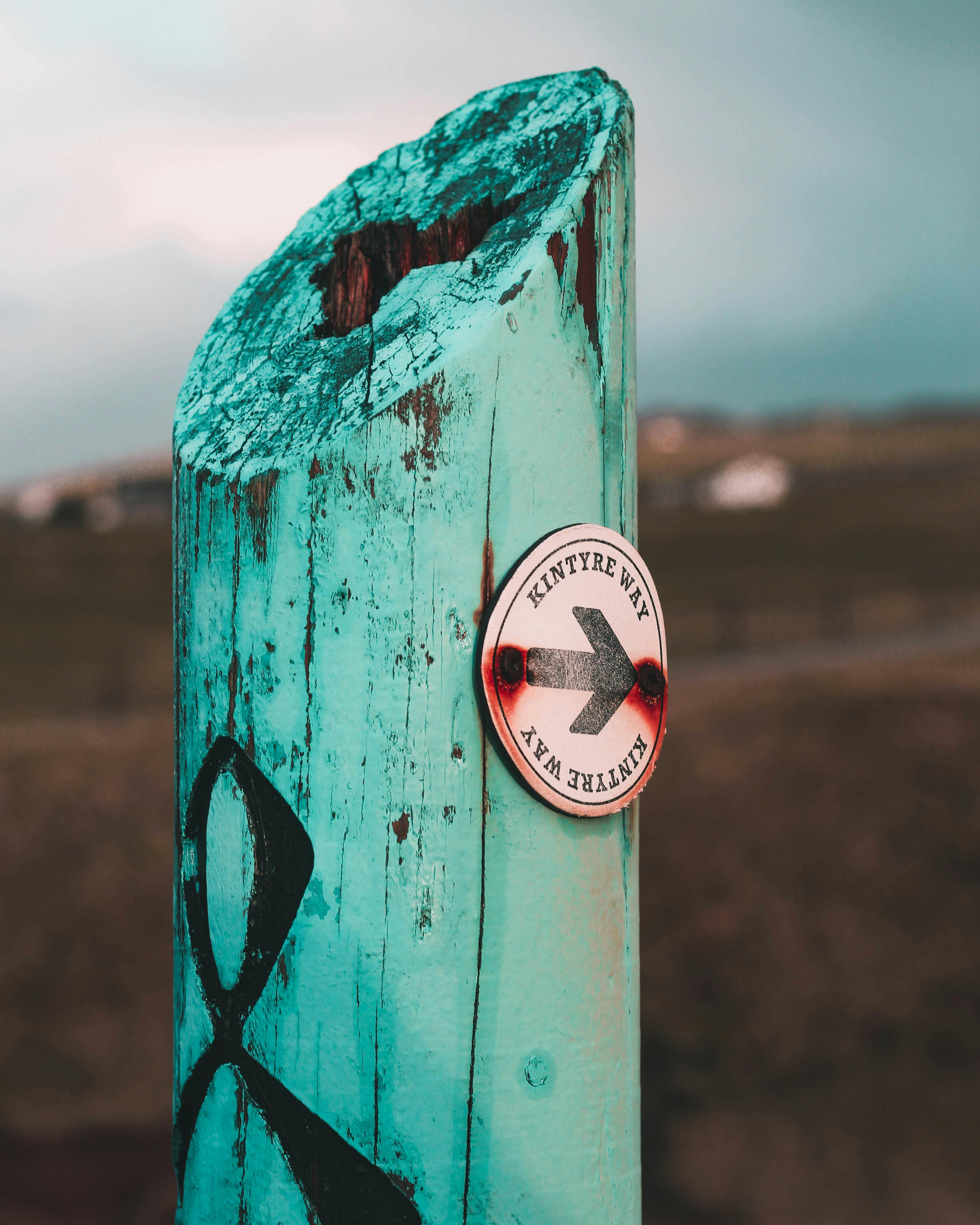 Rachel Neil - Fotografía