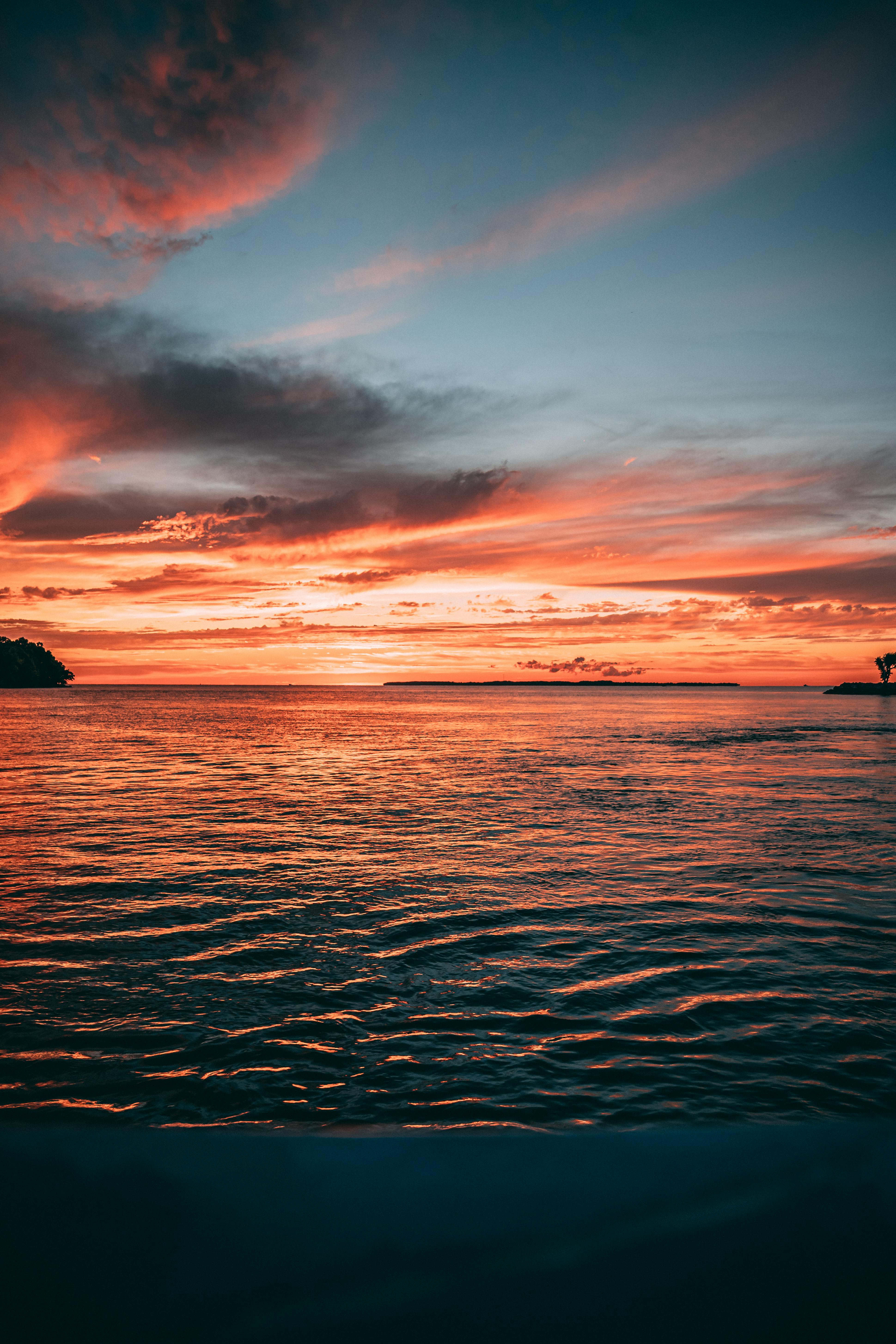 Dustin Tray - 写真