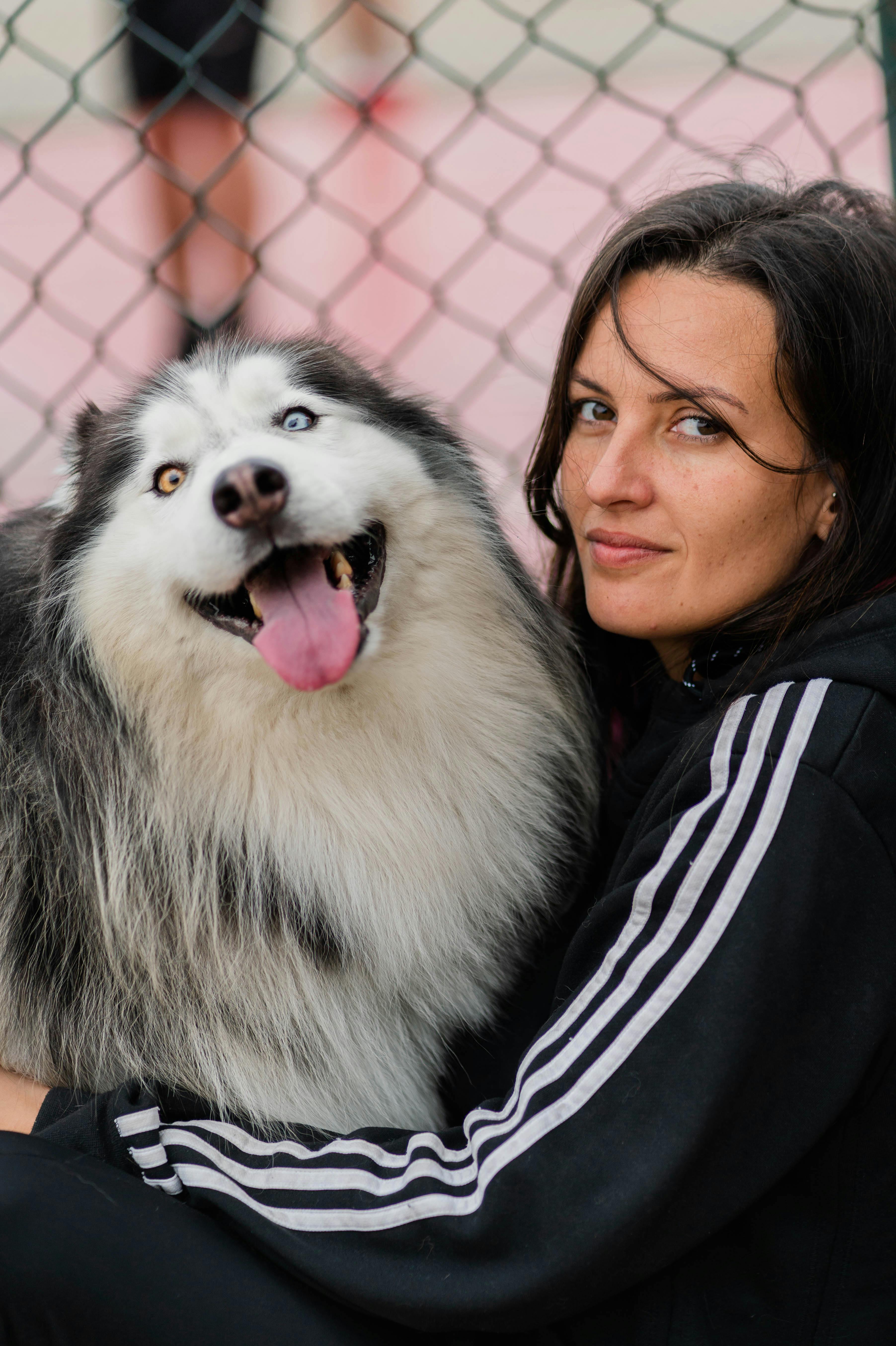 A Husky with its Owner · Free Stock Photo