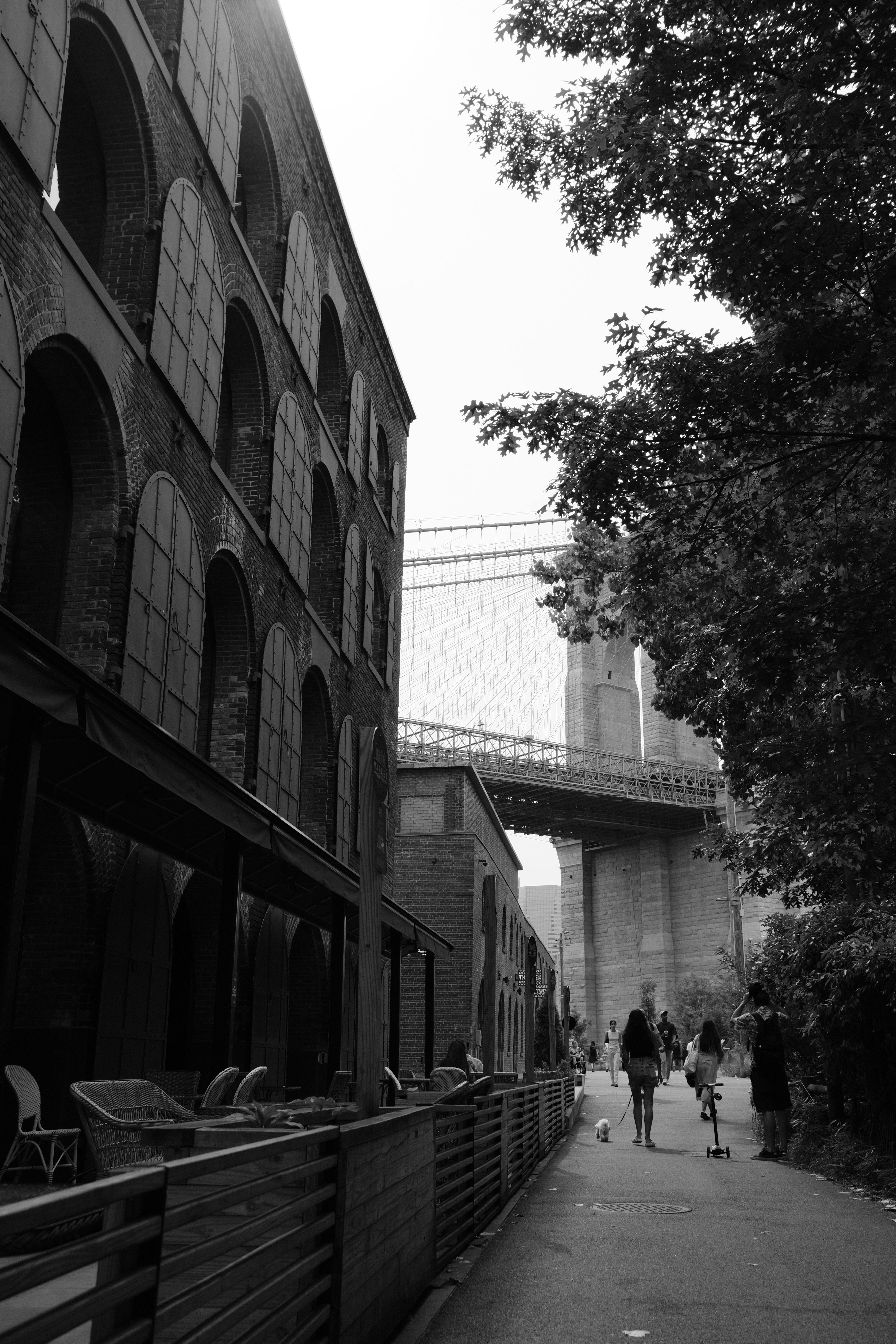 People Walking on the Street · Free Stock Photo