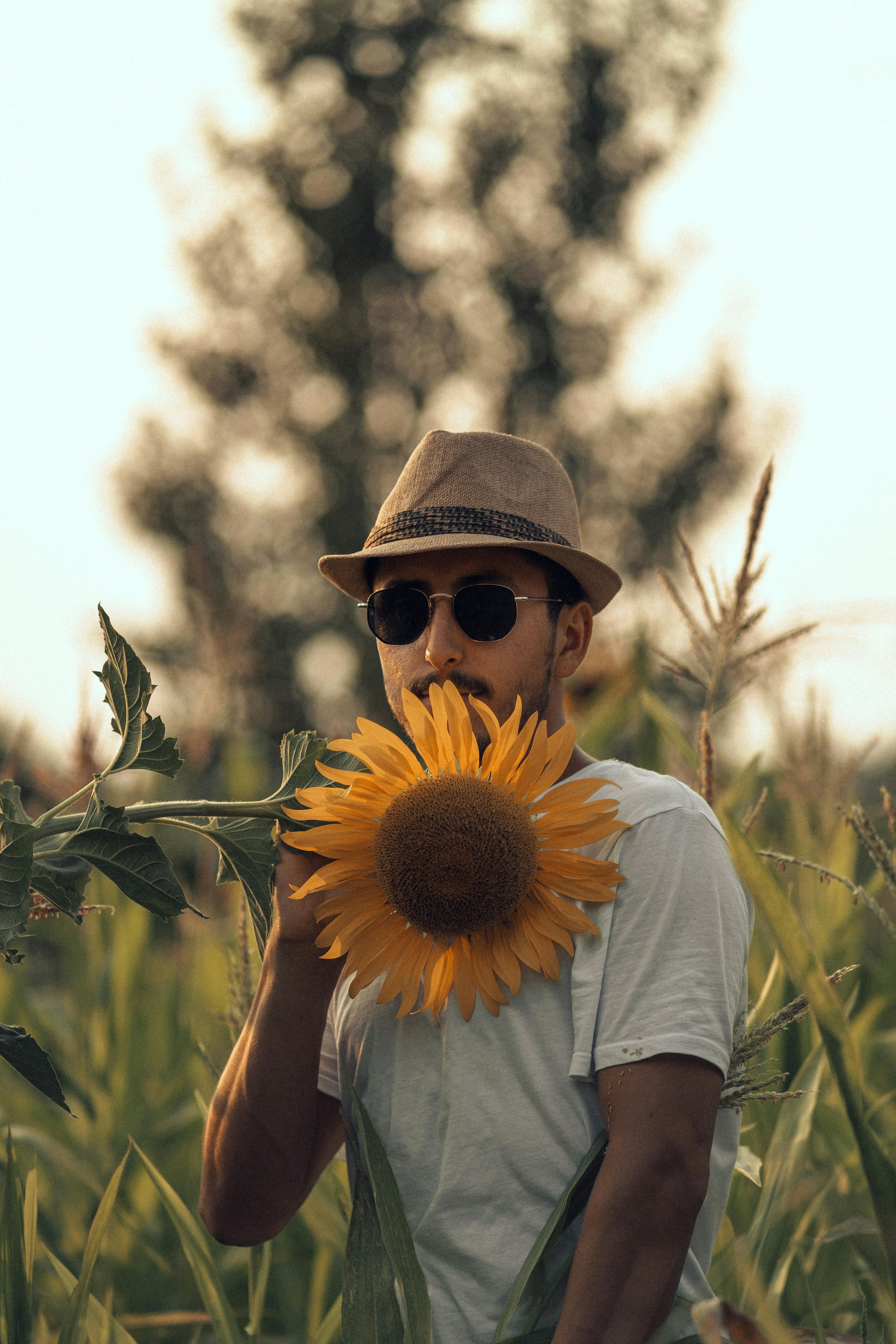 Portrait of Man with Sunflower · Free Stock Photo