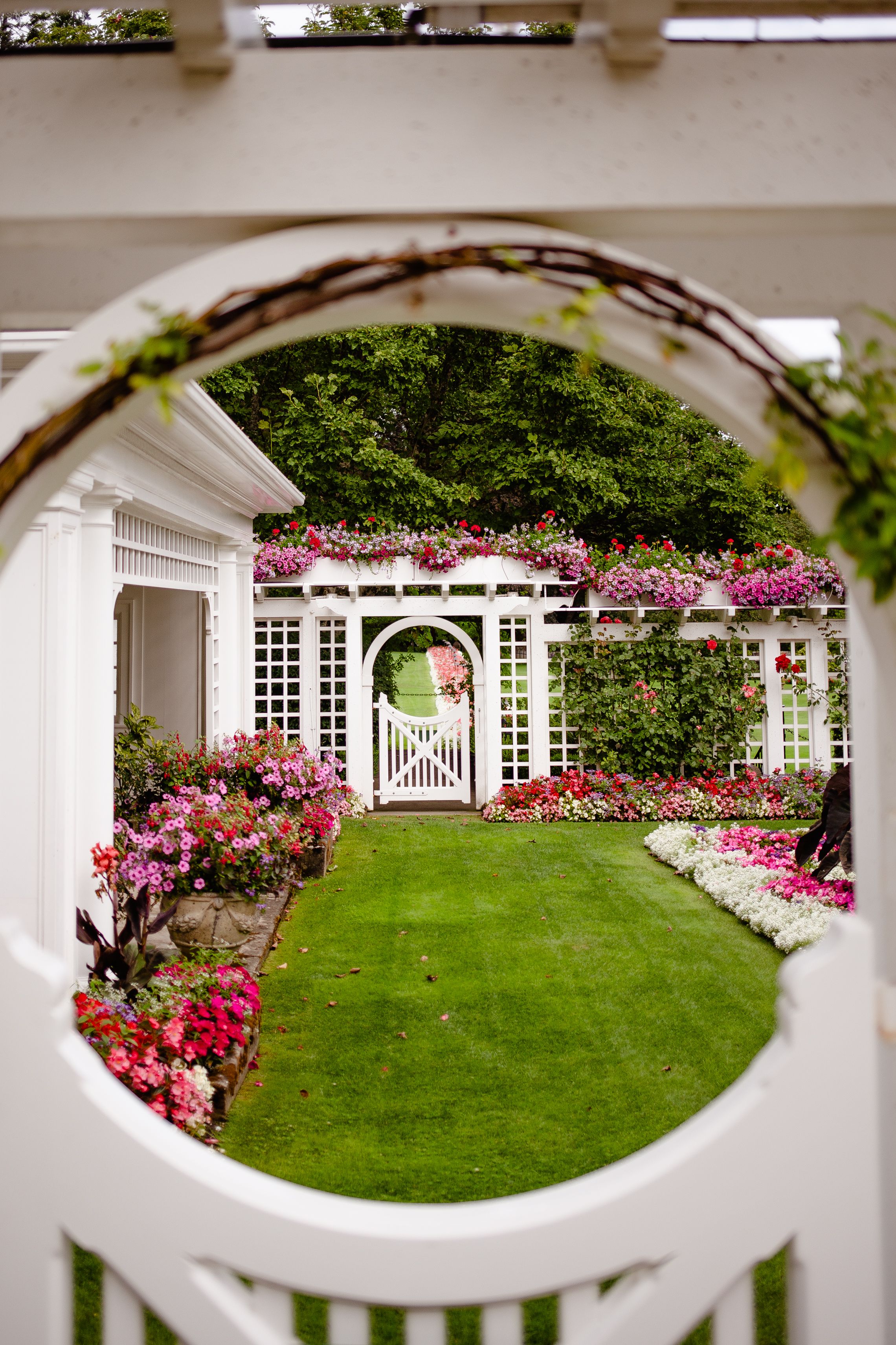 Garden seen through Hole in Door · Free Stock Photo