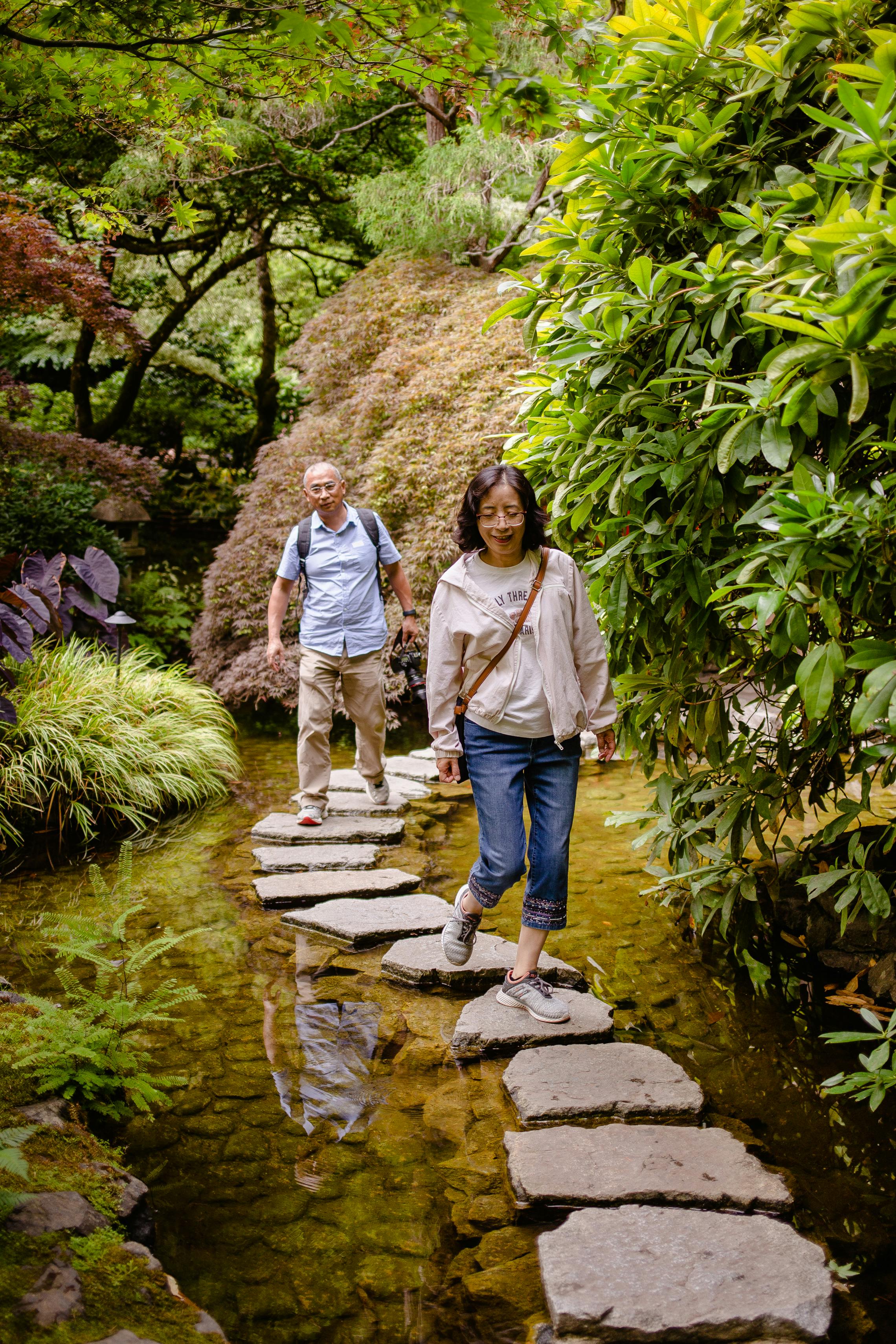 People Walking on Stepping Stones in a Botanic Garden · Free Stock Photo