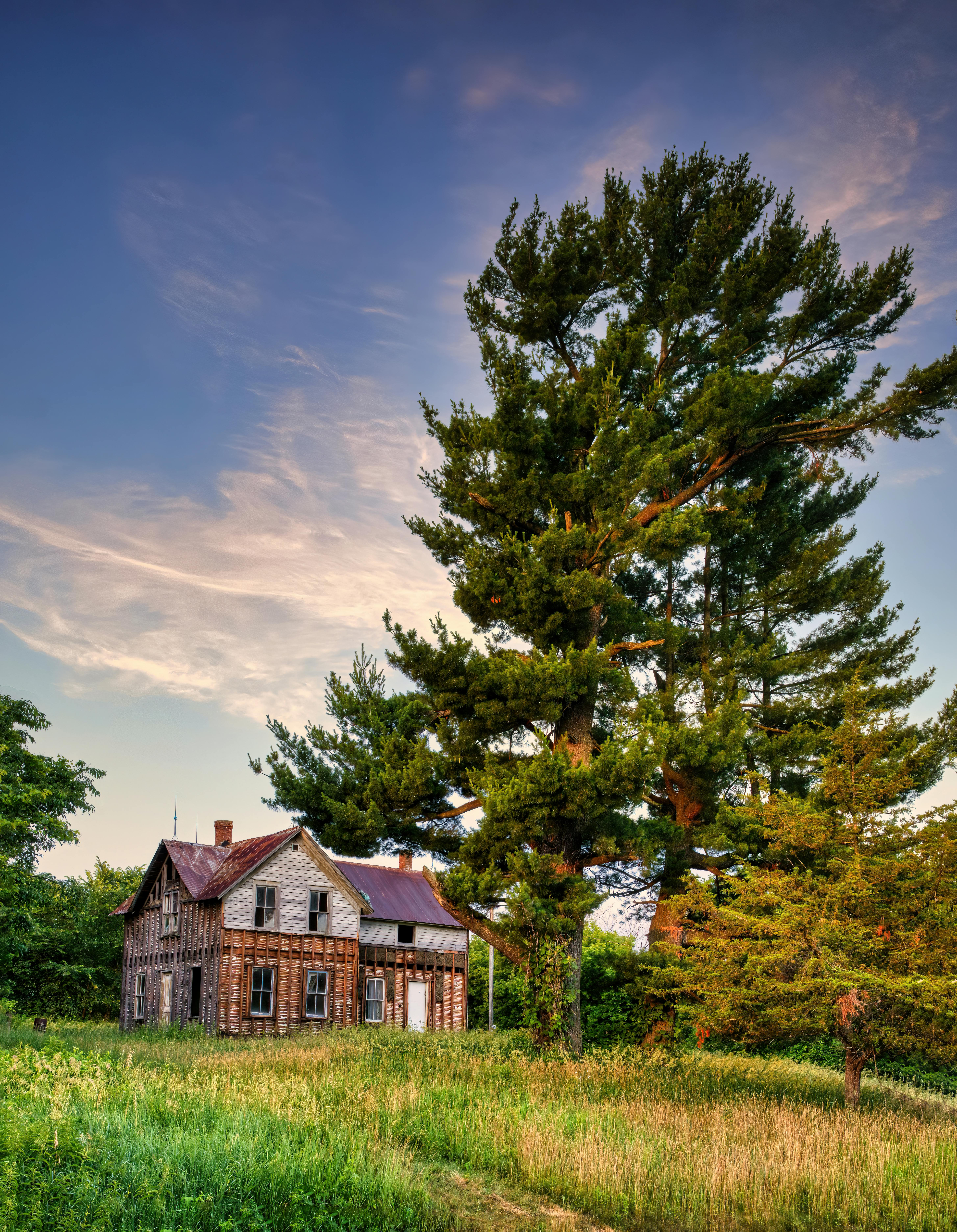 House Beside tall Trees · Free Stock Photo