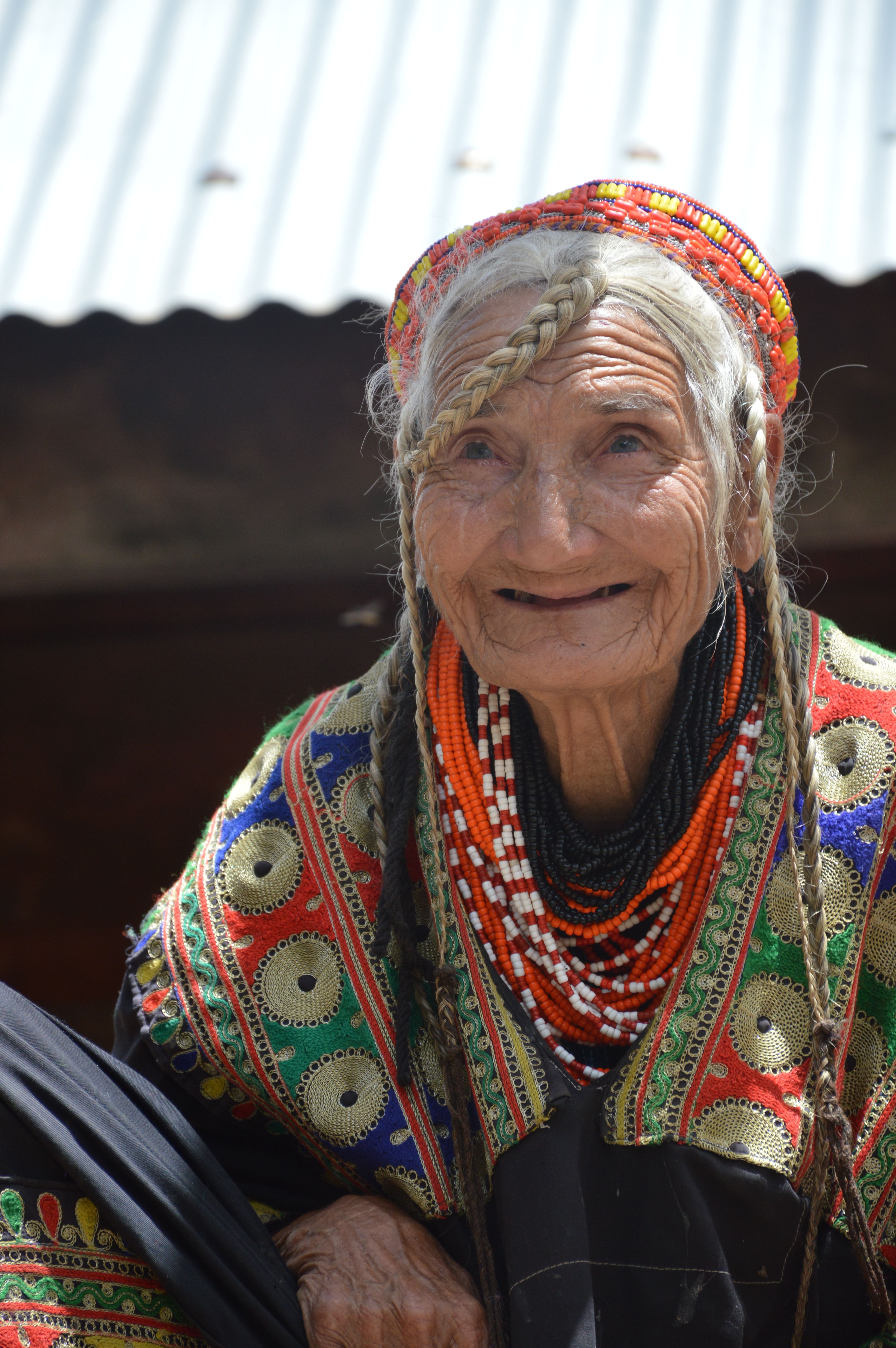 Portrait of an Eldery Woman · Free Stock Photo