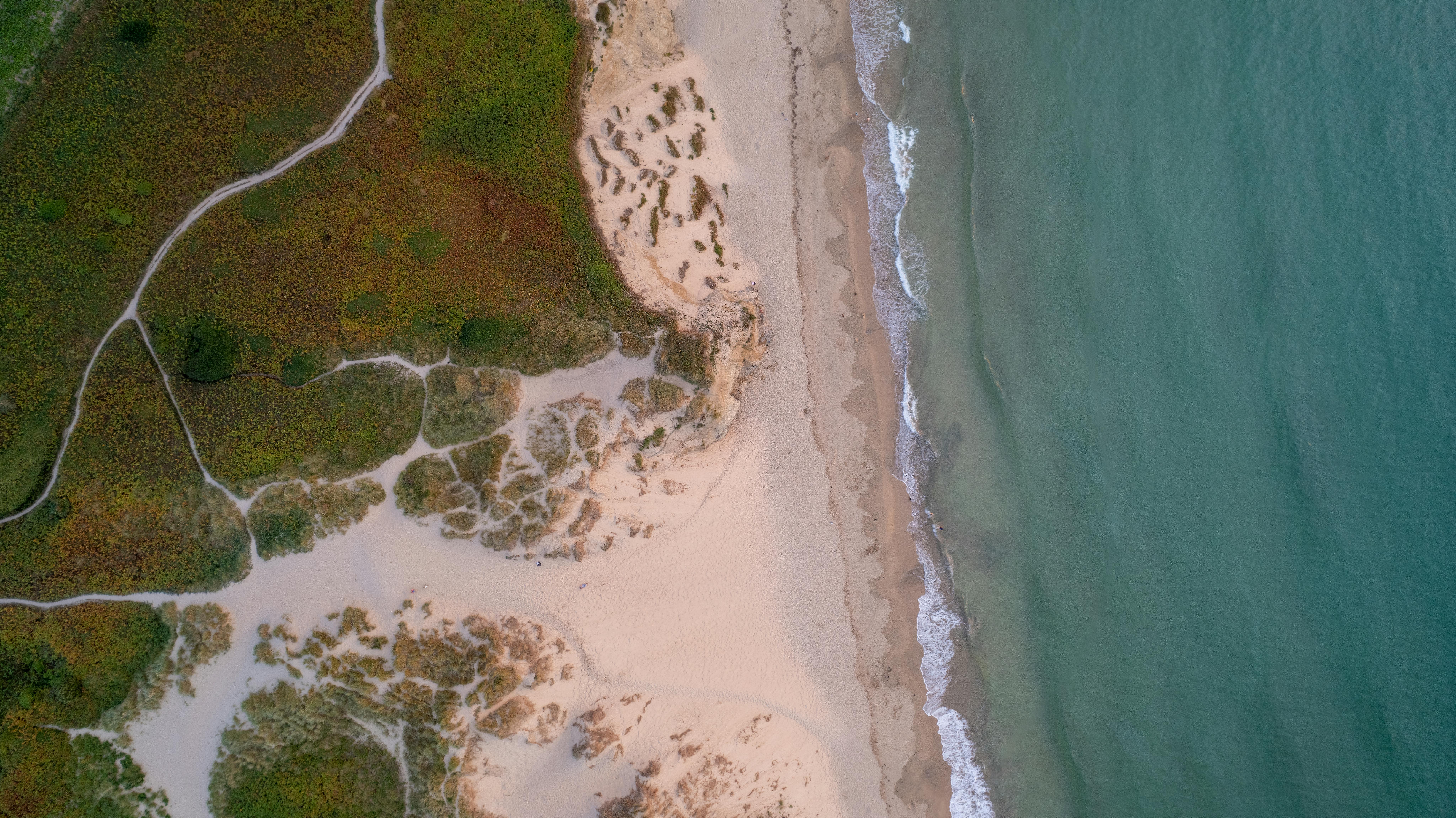 Aerial View of a Beach · Free Stock Photo
