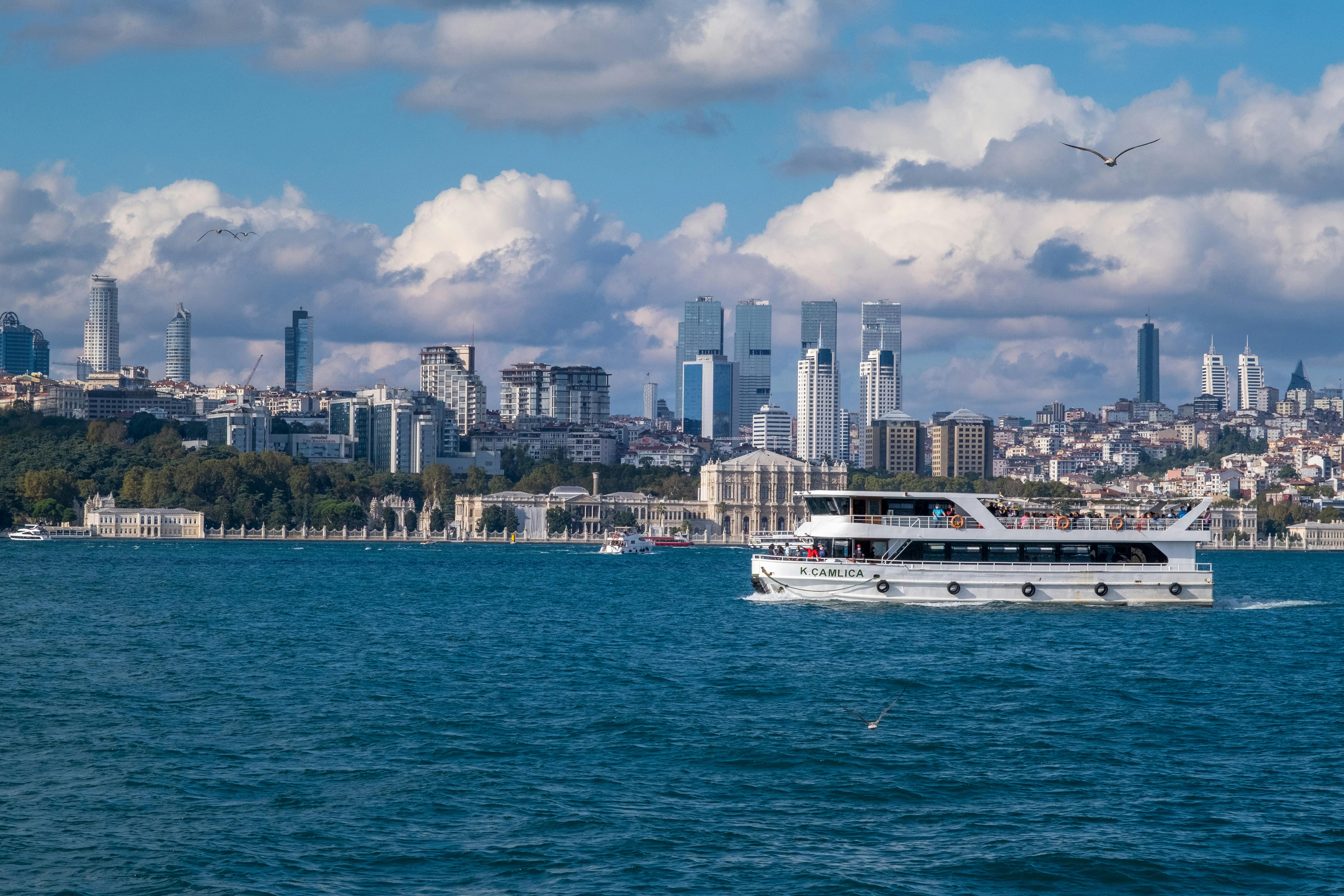 Flying Bird Near Ferry Boat Sailing on the River · Free Stock Photo