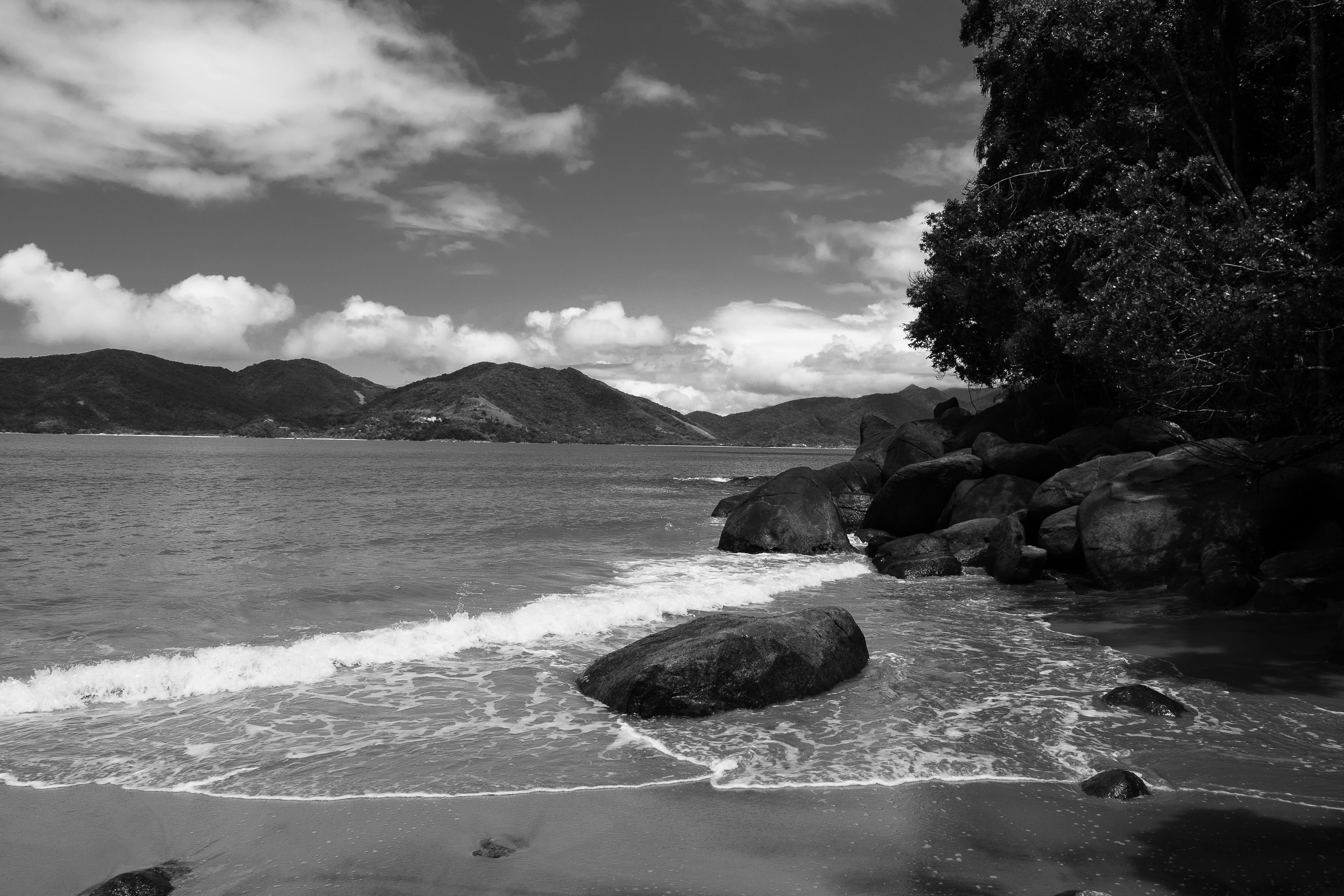 Gray Scale Photo of Body of Water · Free Stock Photo