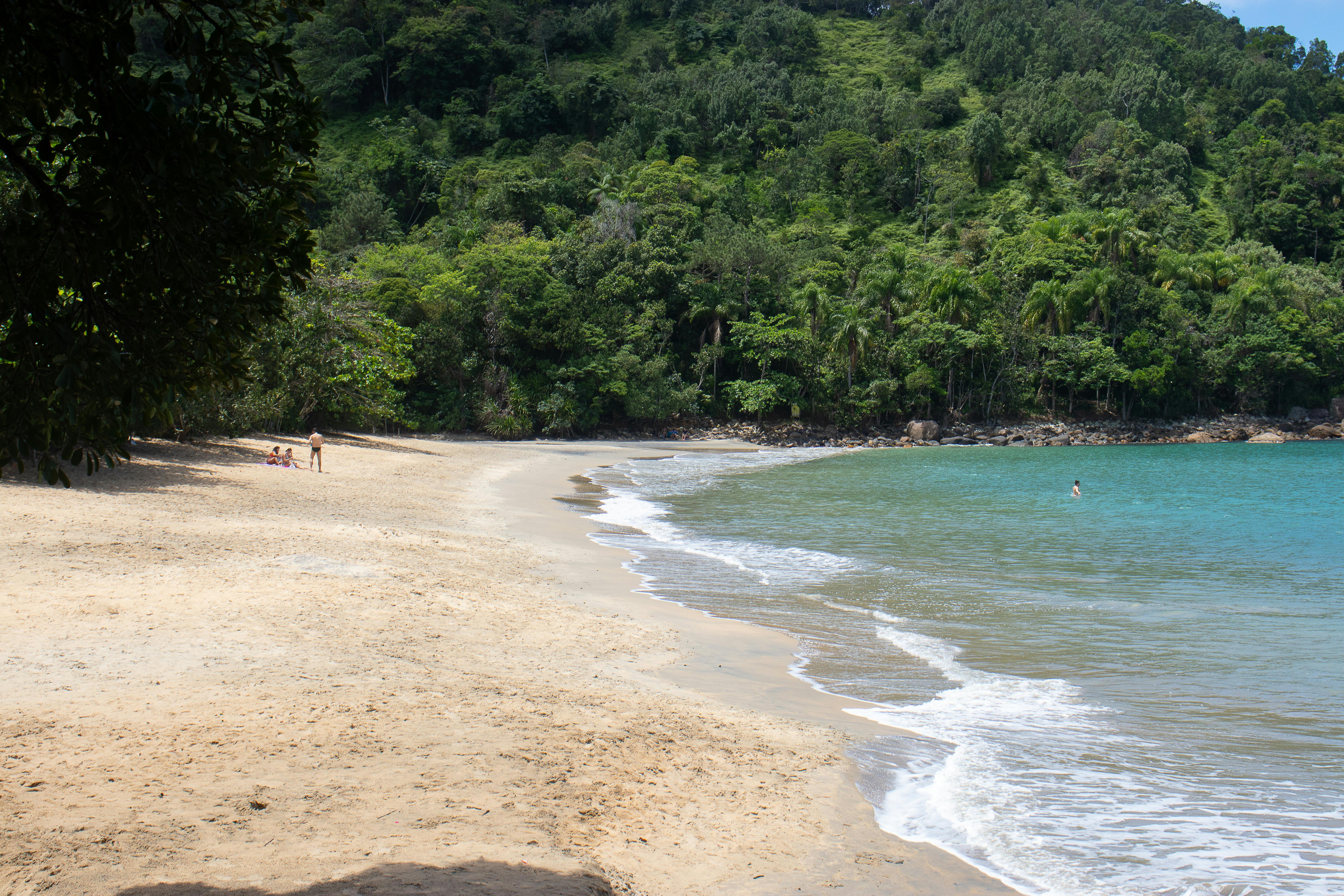 Scenic View of a Beach · Free Stock Photo
